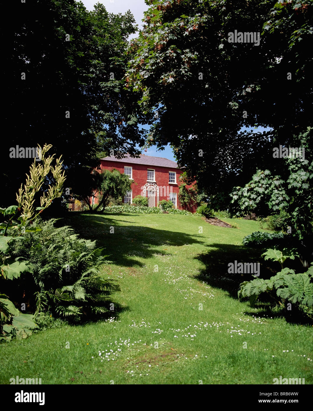 Galleries forests hi-res stock photography and images - Alamy