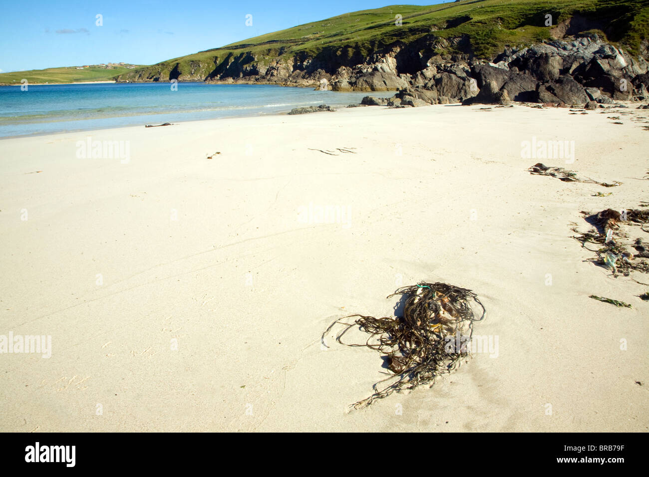 Spiggie beach shetland hi-res stock photography and images - Alamy
