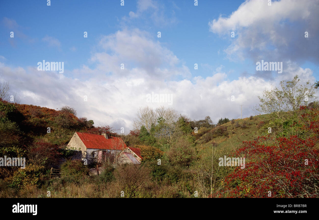 Ballinamore,Co Leitrim,Ireland;Old Cottage Near Ballinamore Stock Photo ...