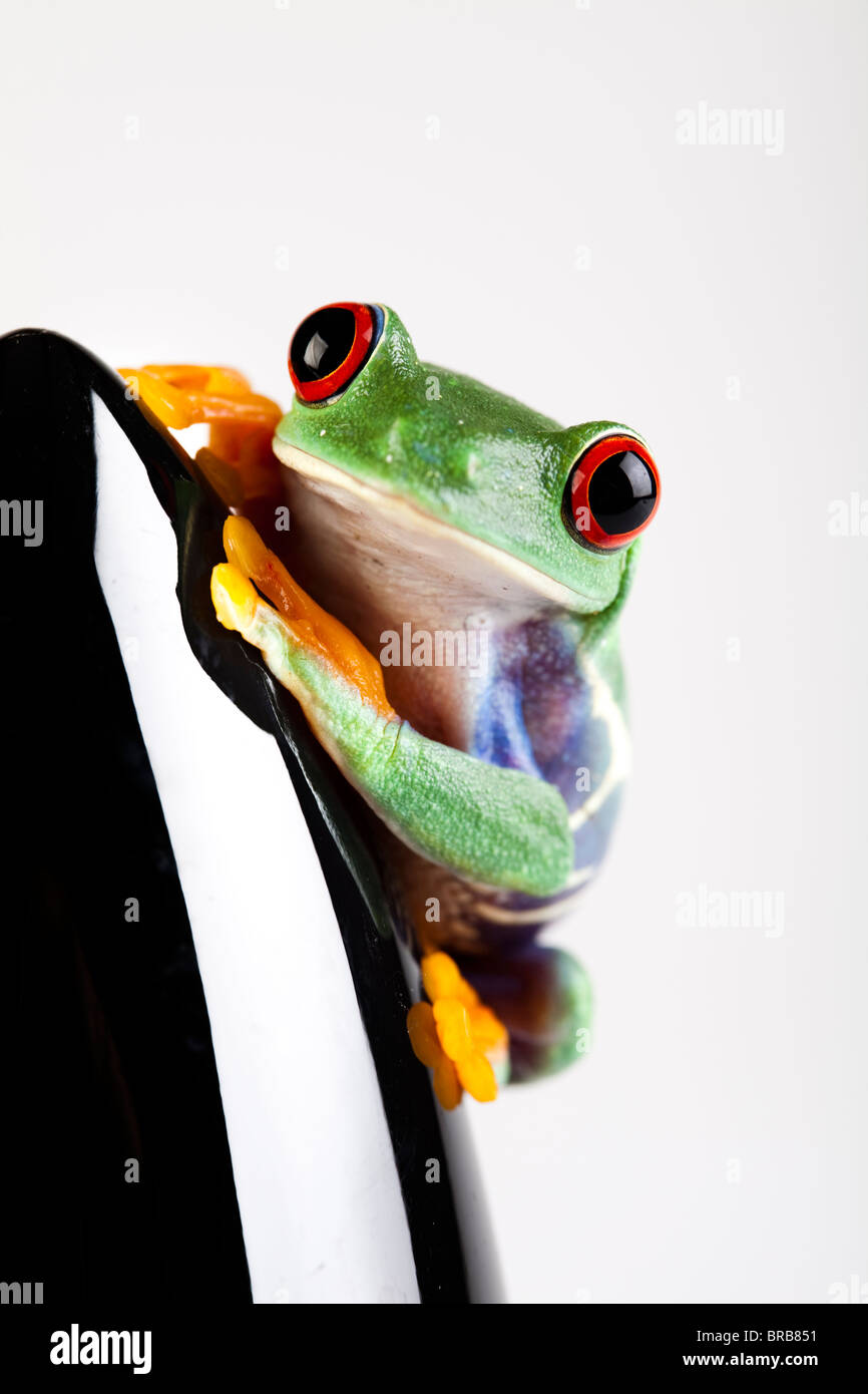 Black Rocket and green frog Stock Photo - Alamy