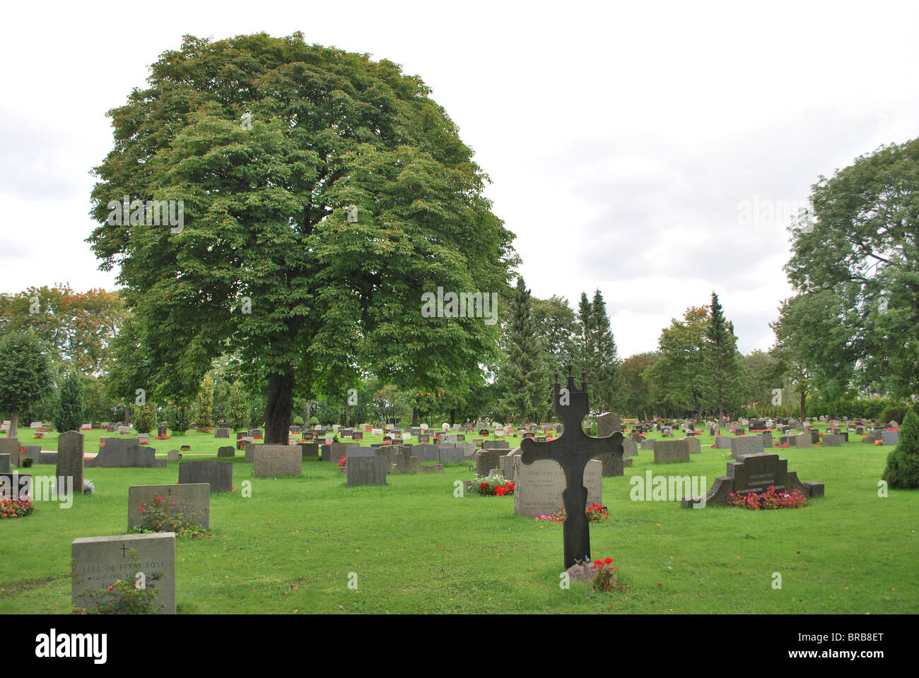 Graveyard tombstones hi-res stock photography and images - Alamy
