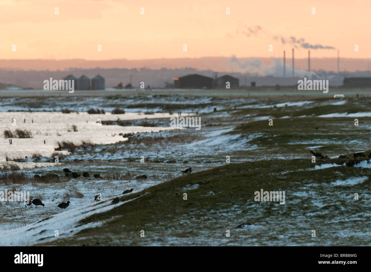 North kent marshes hi-res stock photography and images - Alamy