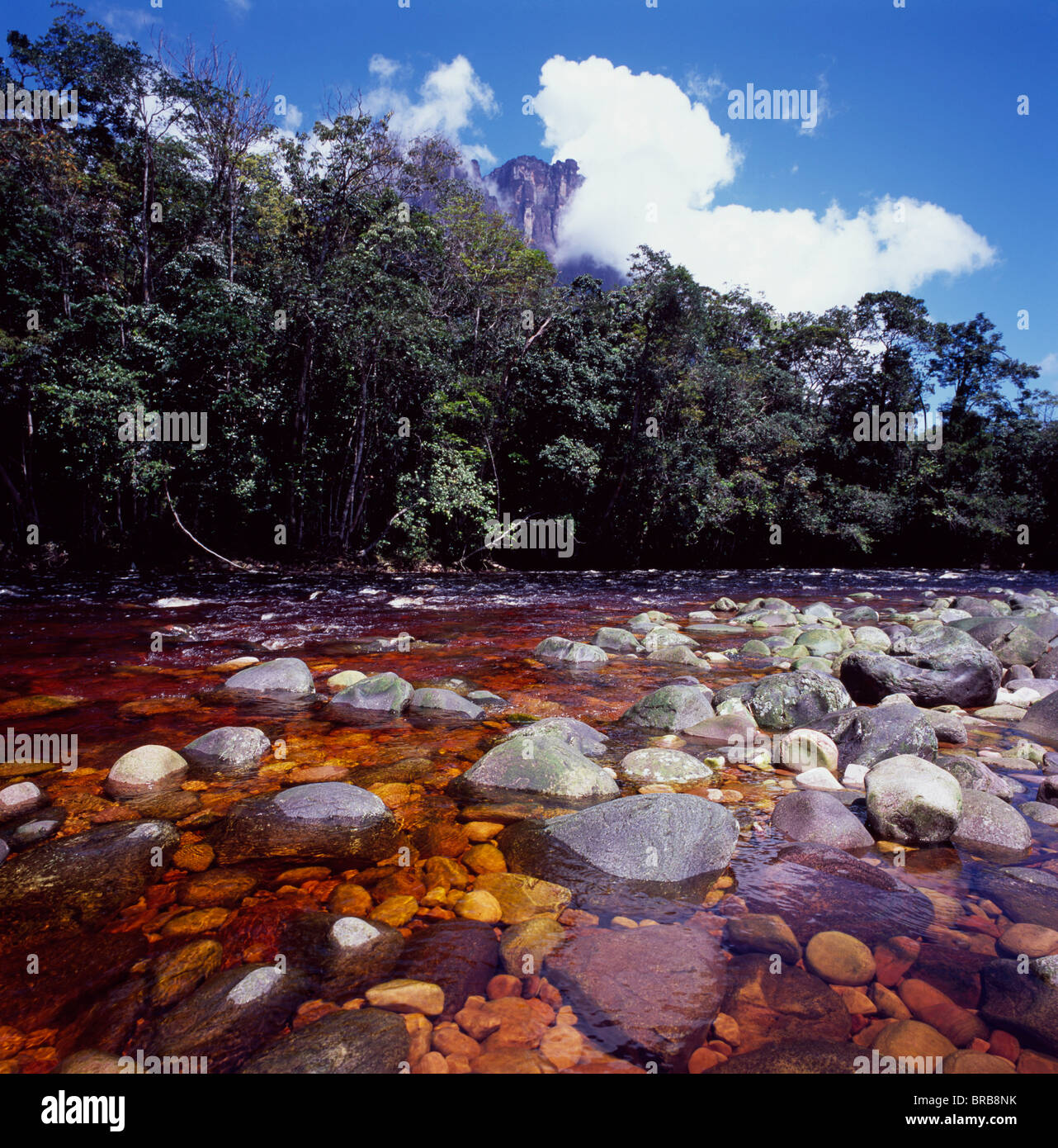 Churun gorge hi-res stock photography and images - Alamy