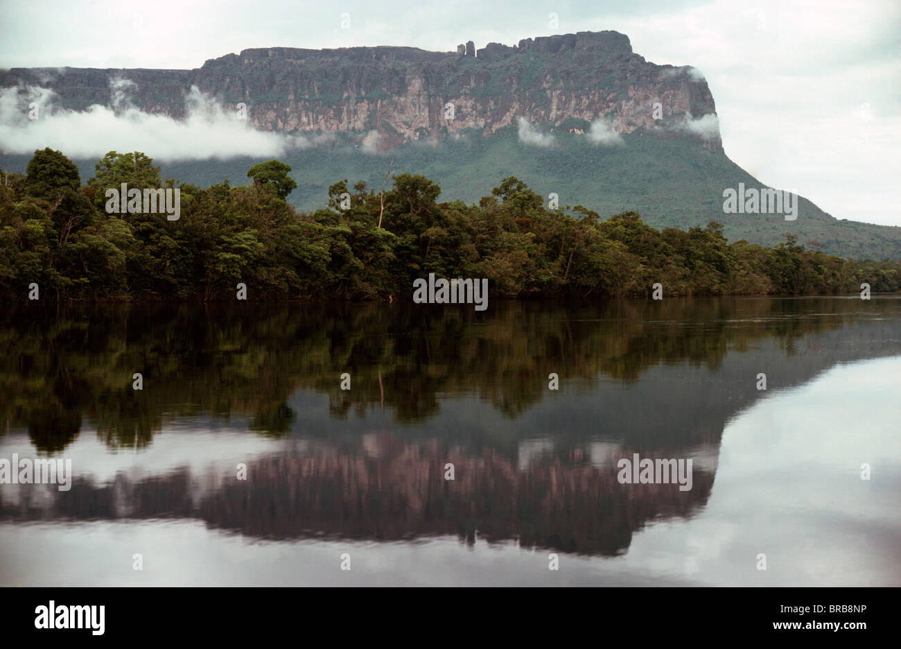 Auyantepui (Auyantepuy) (Devil's Mountain) from Carrao River, Canaima ...