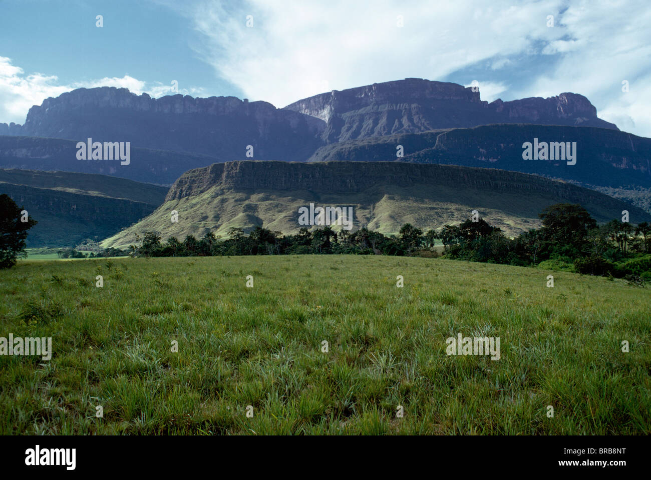 Tepuis showing south side of Auyantepui (Devil's Mountain) from Uruyen ...