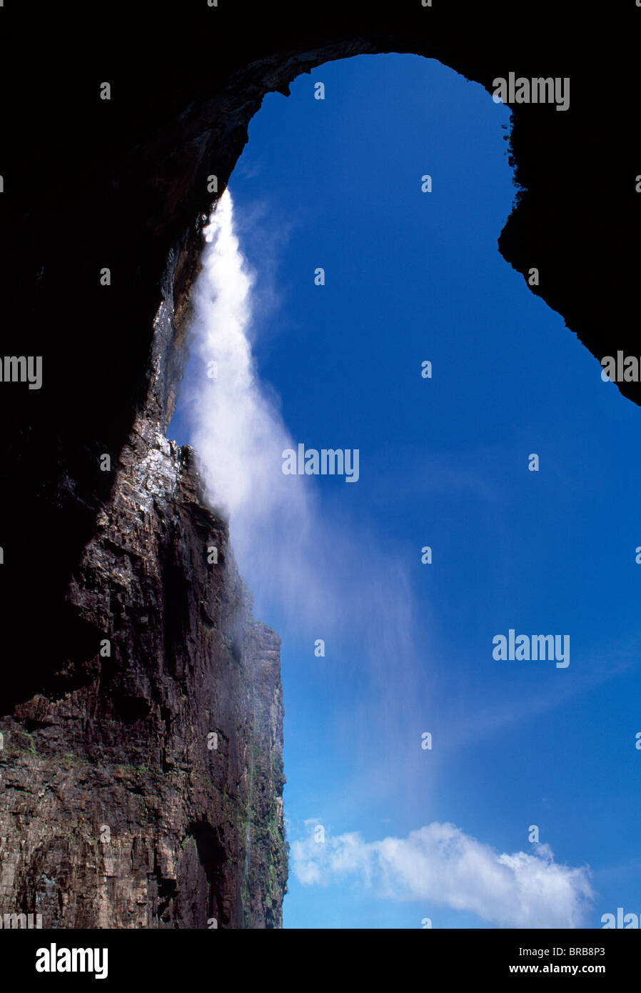 View from base of Angel Falls, Churun Gorge, Auyantepui (Devil's ...