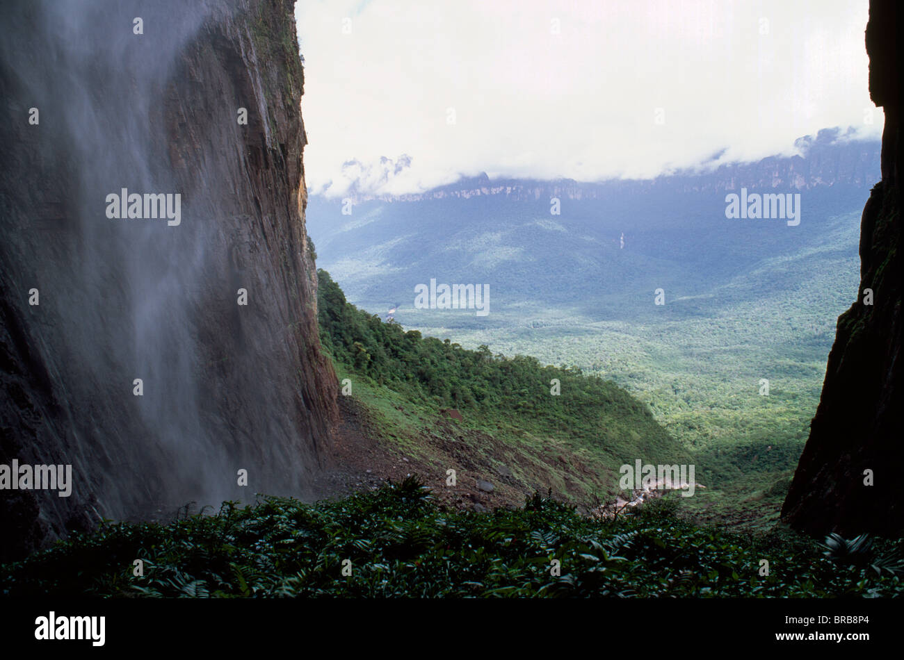 View from base of Angel Falls, Churun Gorge, Auyantepui, Canaima ...