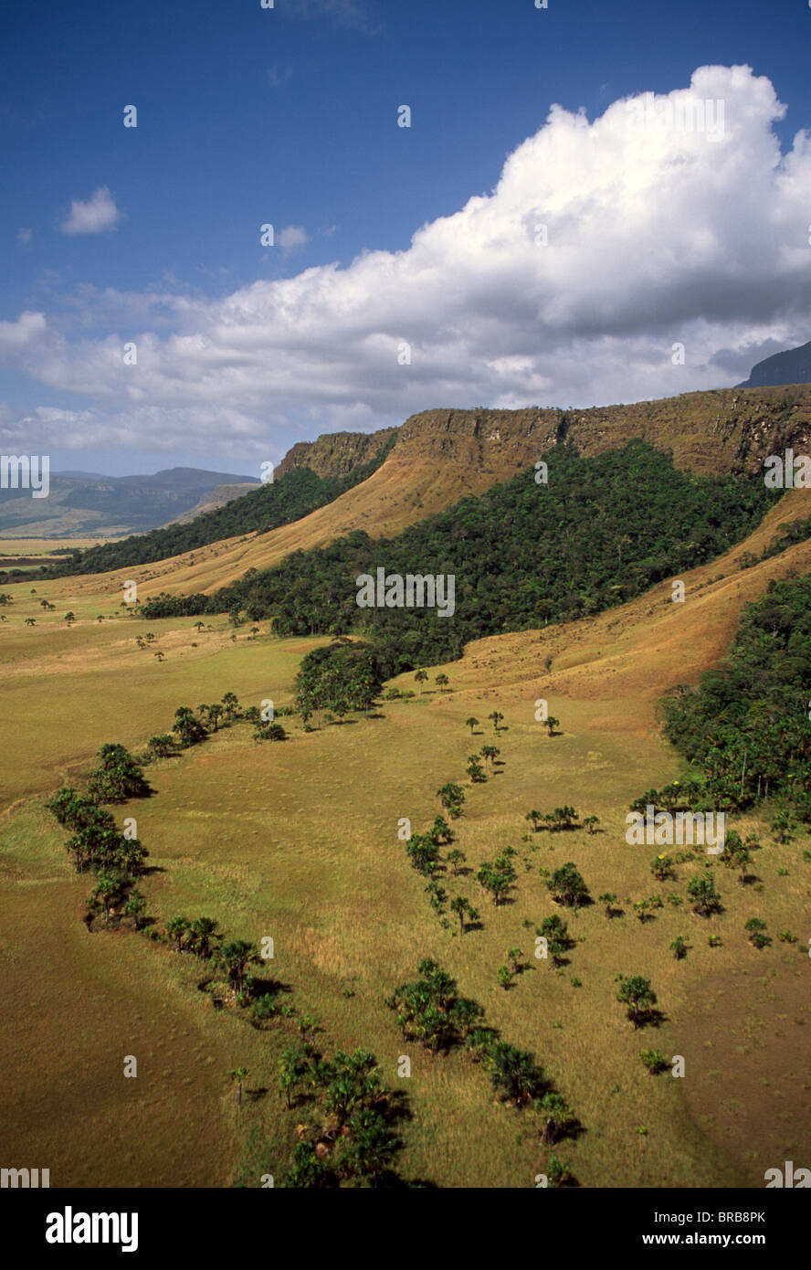 Auyantepui hi-res stock photography and images - Alamy