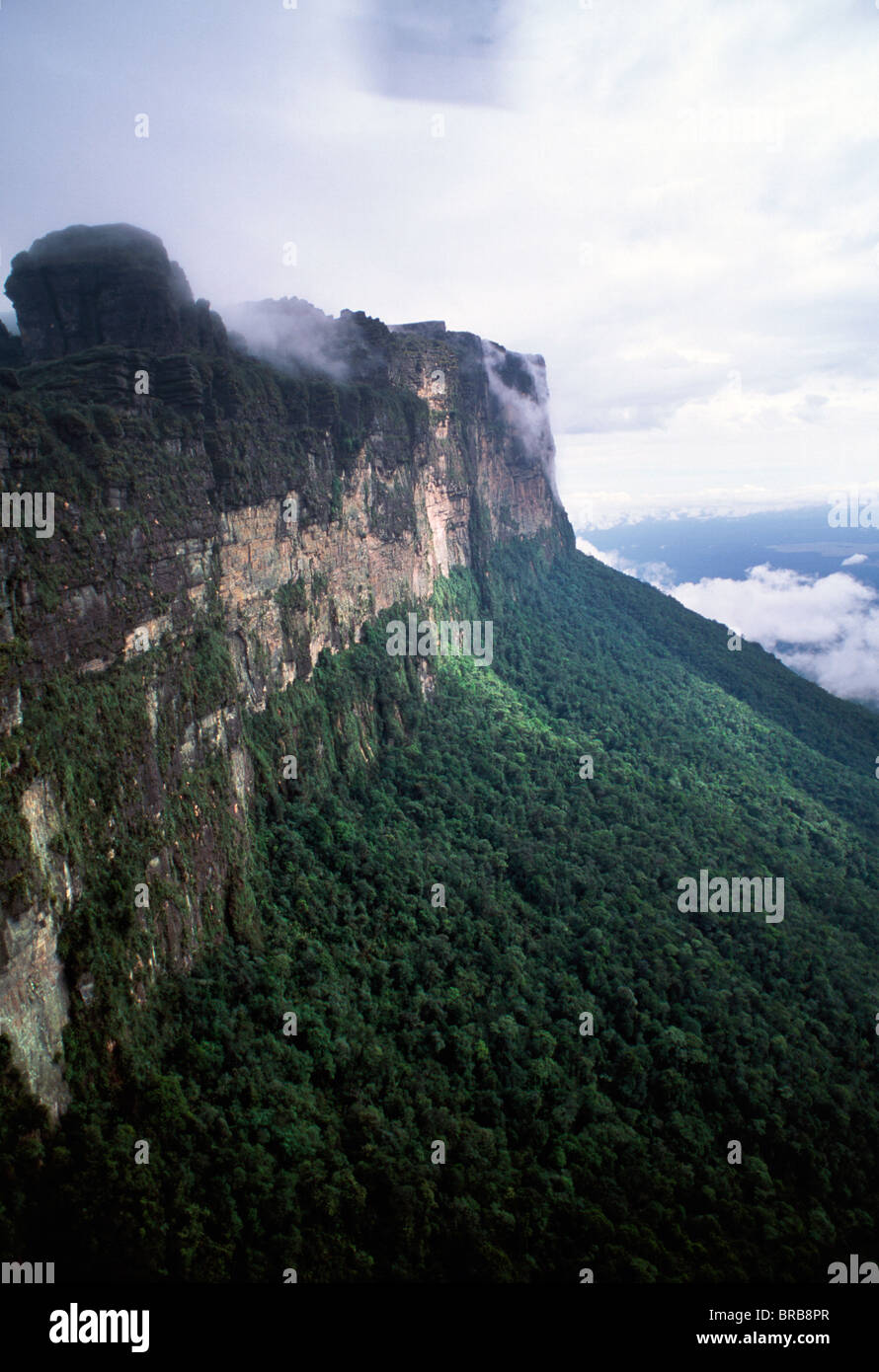 Aerial image of tepuis showing Mount Auyantepui (Auyantepuy) (Devil's ...