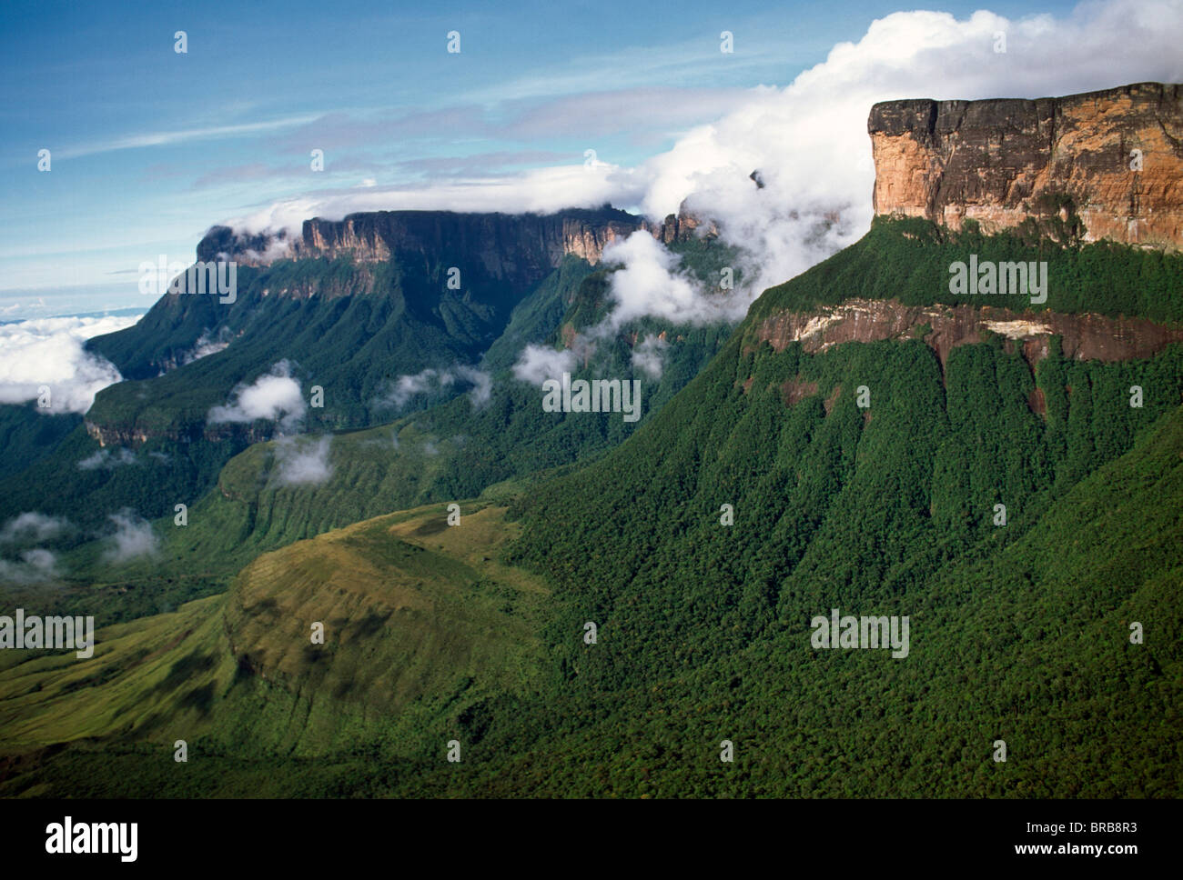 Aerial image of tepuis showing Mount Auyantepui (Auyantepuy) (Devil's ...