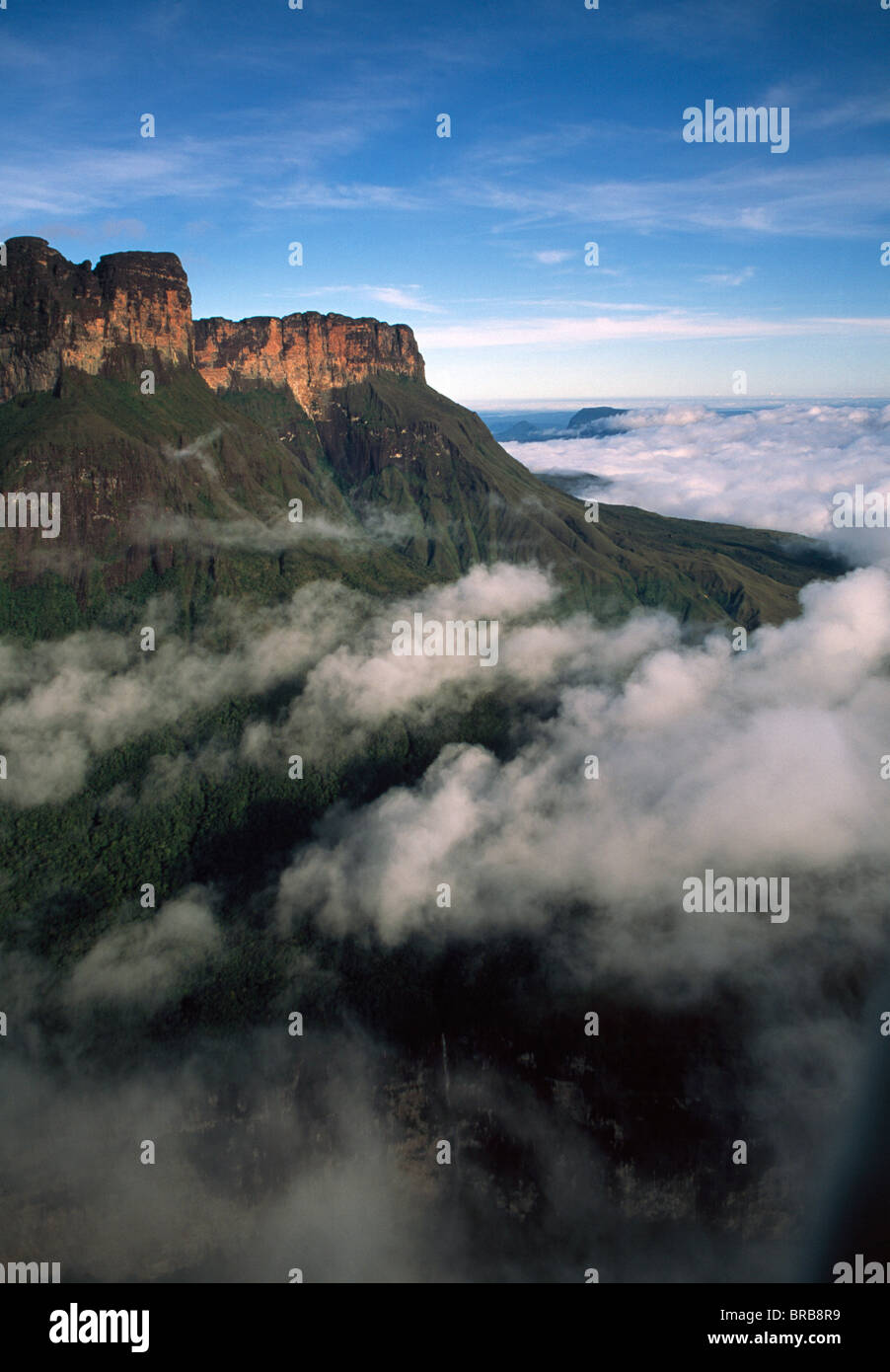 Aerial image of tepuis showing Mount Auyantepui (Auyantepuy) (Devil's ...