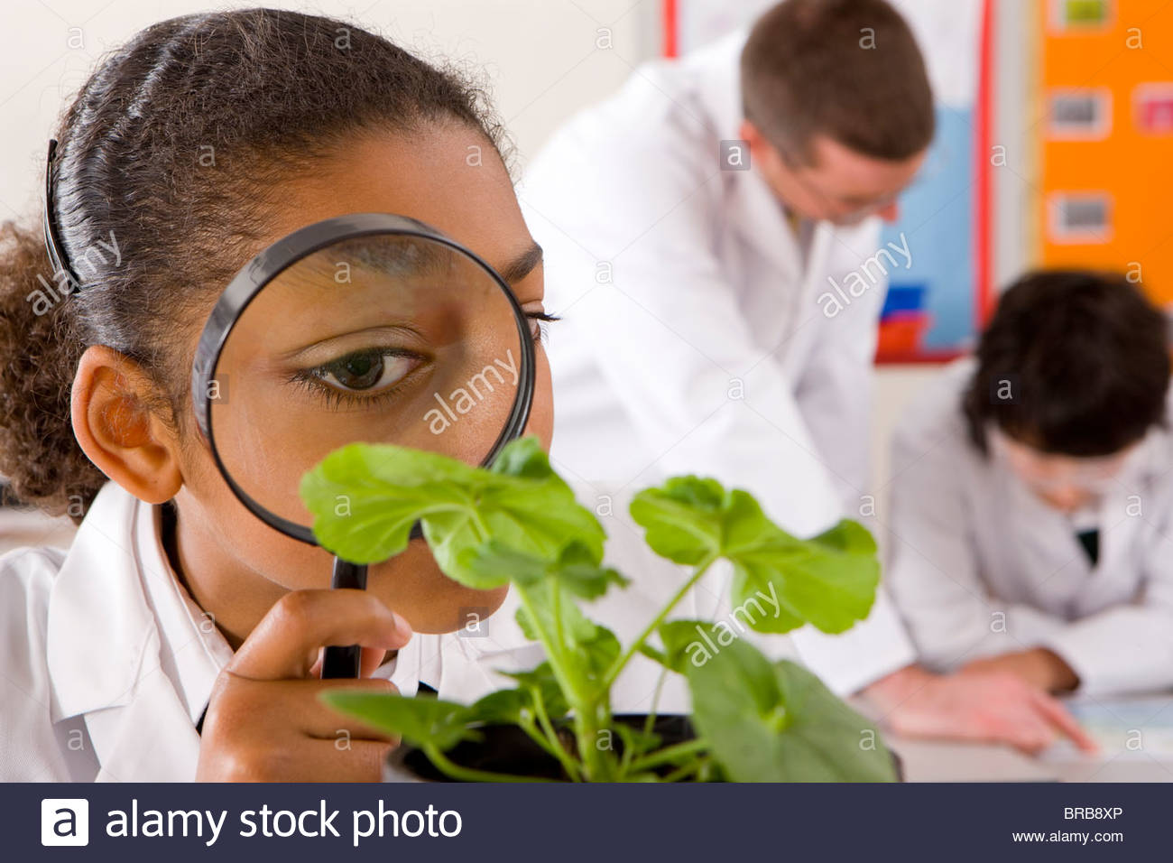 Magnifying Glass Eye Stock Photos & Magnifying Glass Eye Stock Images ...