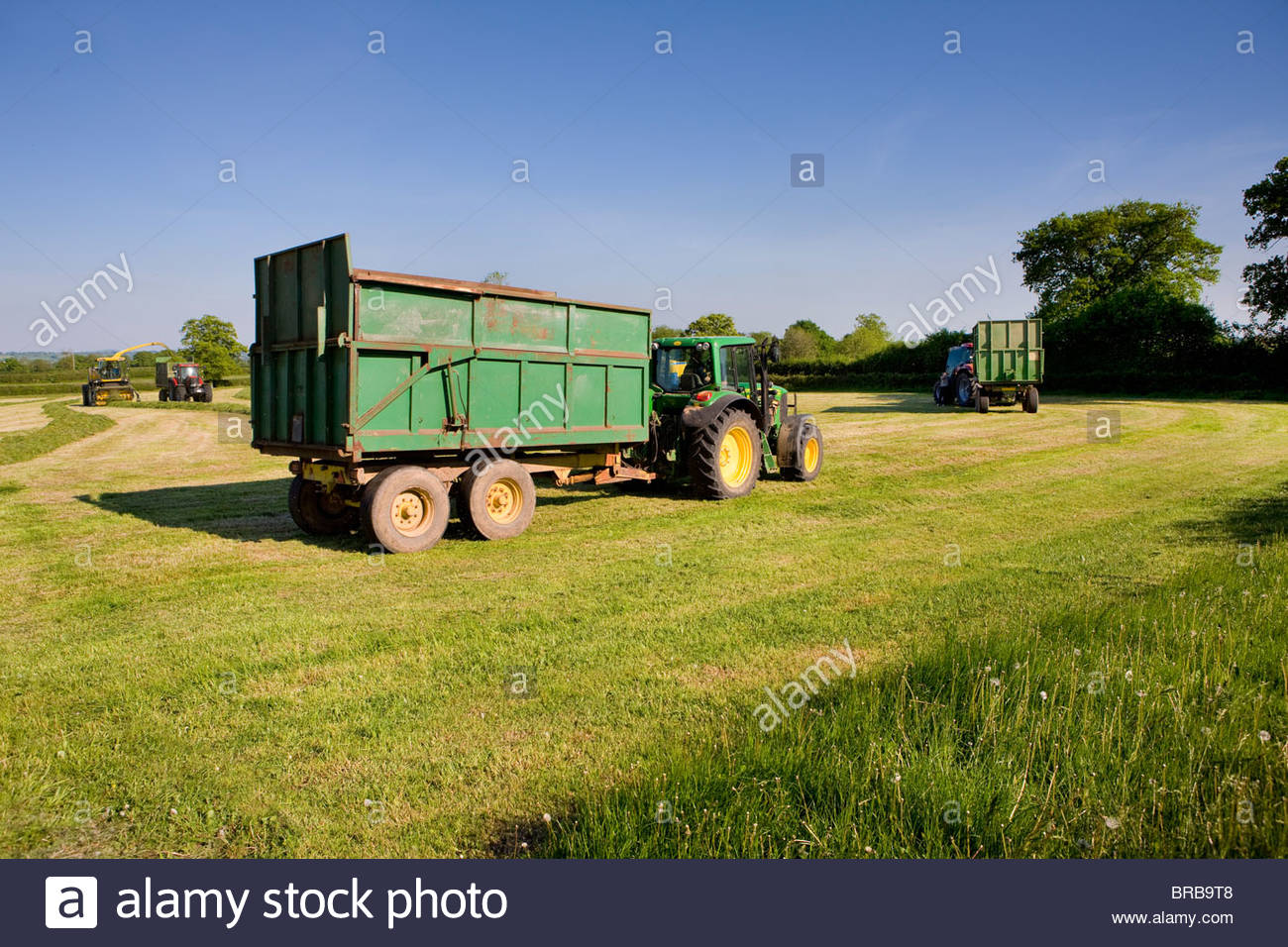 Silage Stock Photos & Silage Stock Images - Alamy