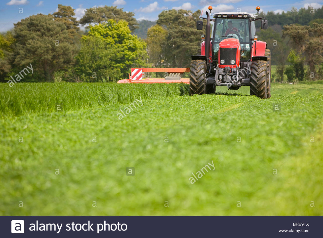 Silage Cutting Stock Photos & Silage Cutting Stock Images - Alamy