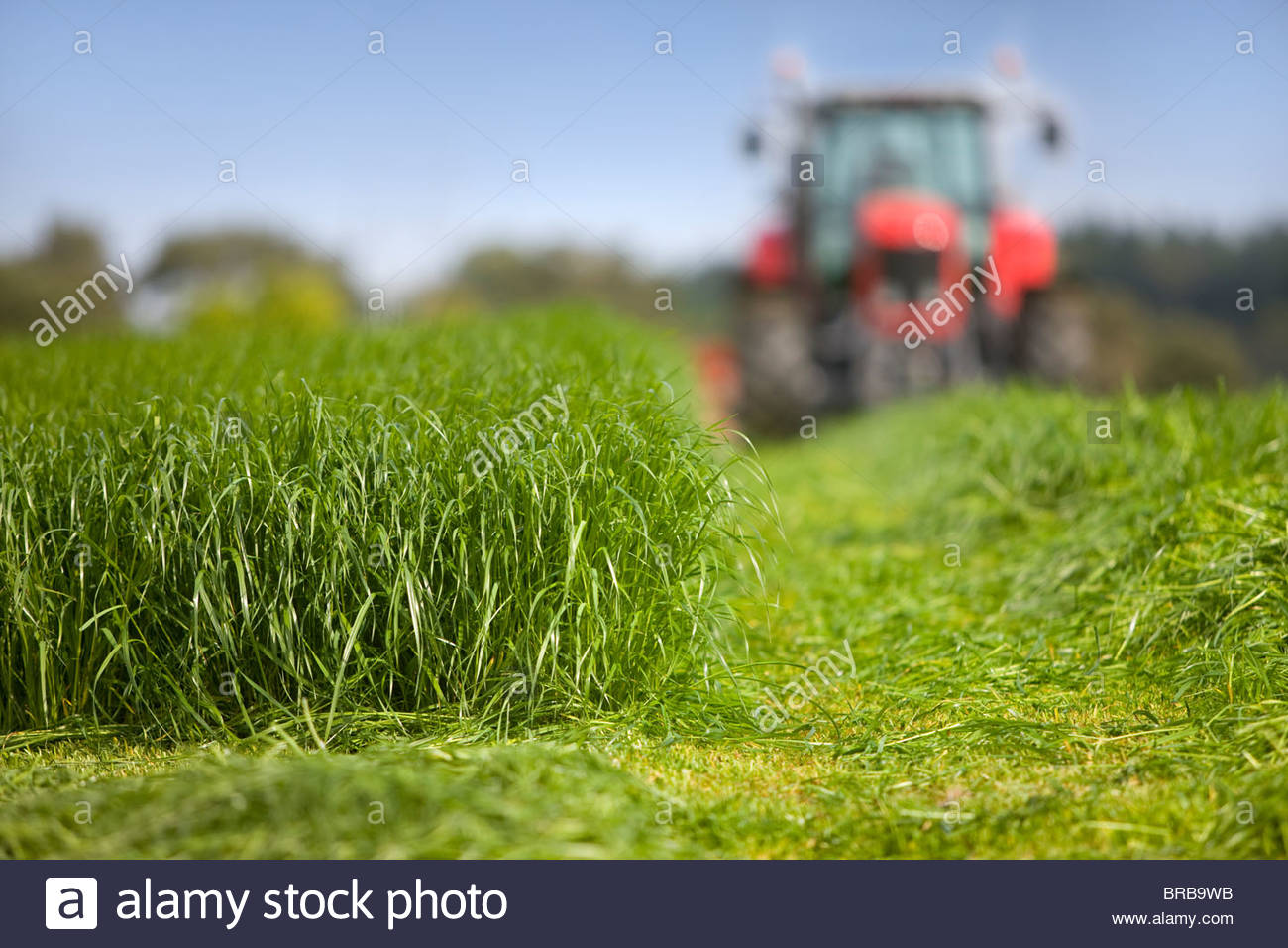 Grass Silage Stock Photos & Grass Silage Stock Images - Alamy