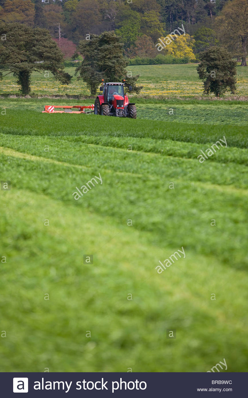 Silage Stock Photos & Silage Stock Images - Alamy