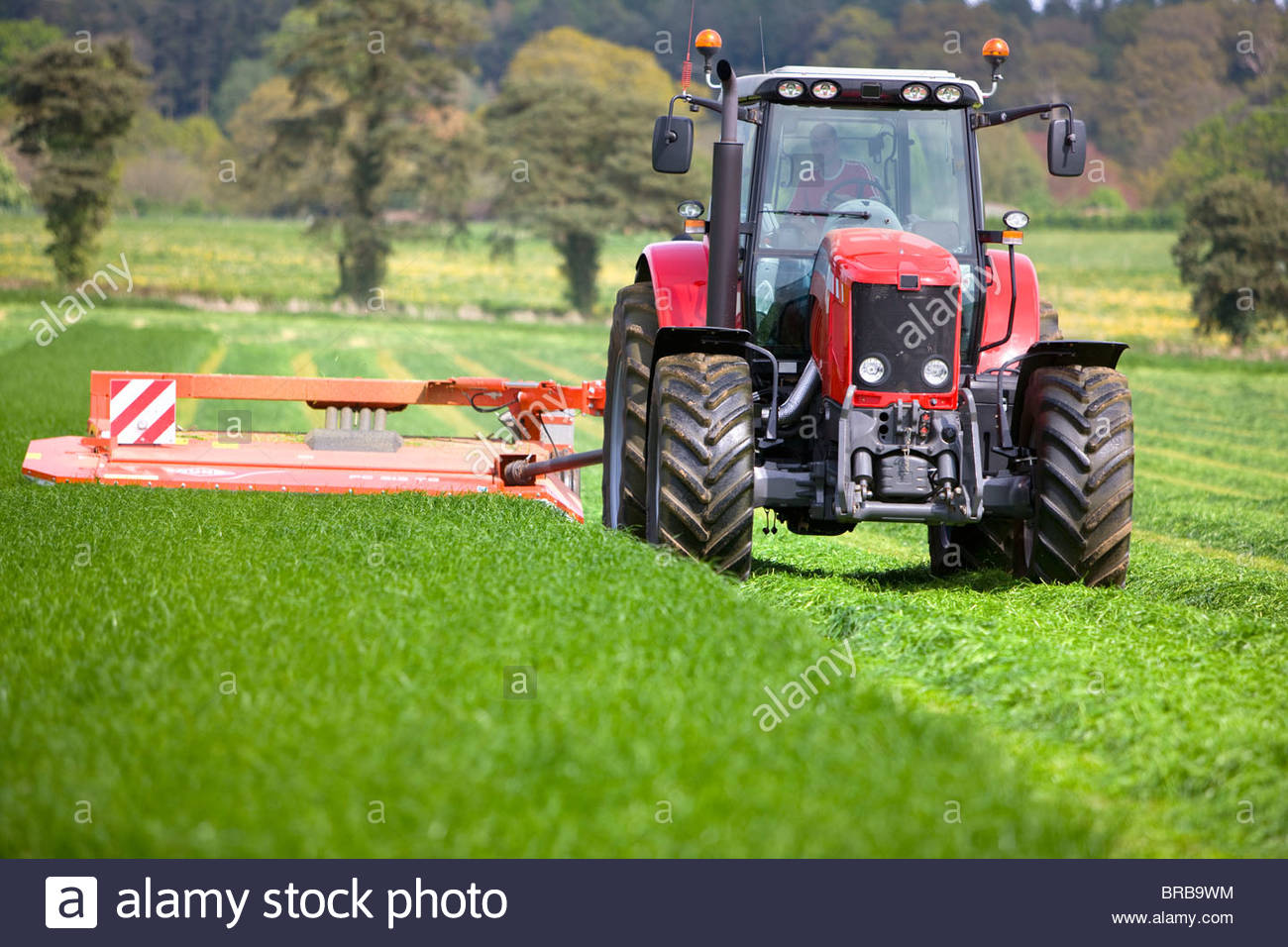 Silage Cutting Stock Photos & Silage Cutting Stock Images - Alamy
