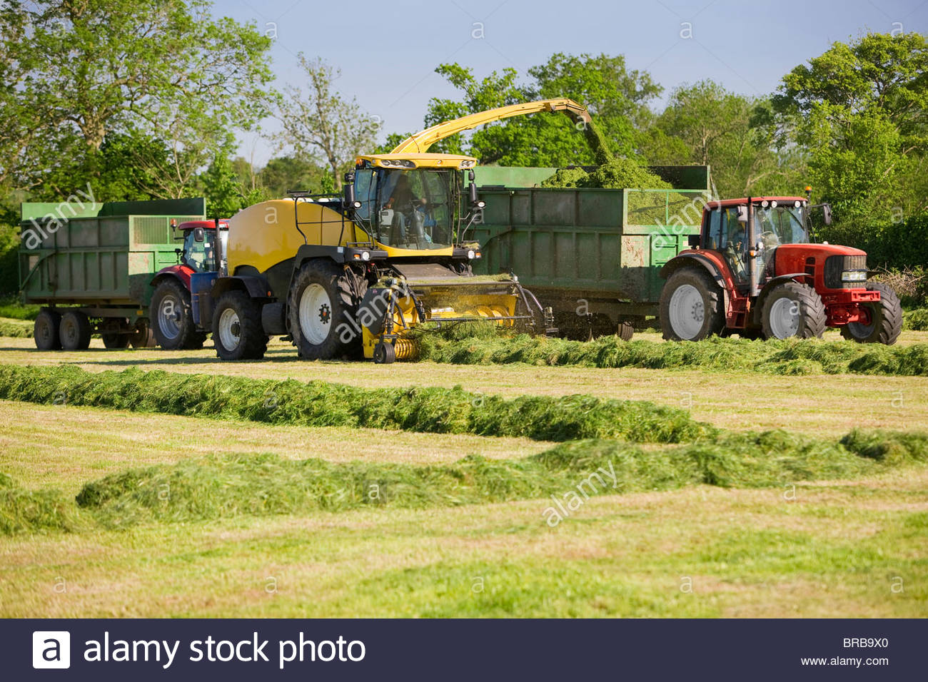 Front Loader Truck Stock Photos & Front Loader Truck Stock Images - Alamy