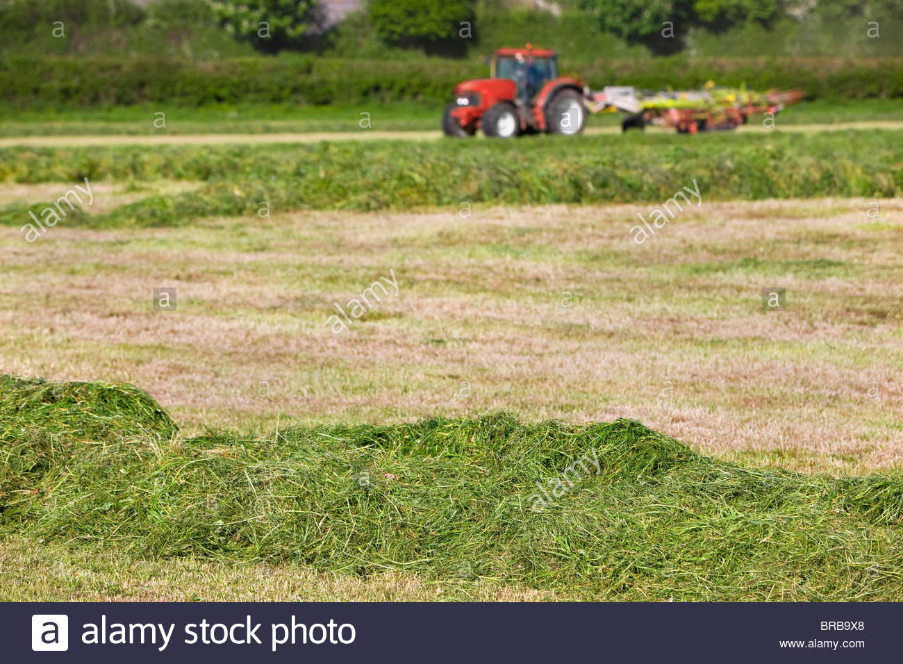 Silage Stock Photos & Silage Stock Images - Alamy