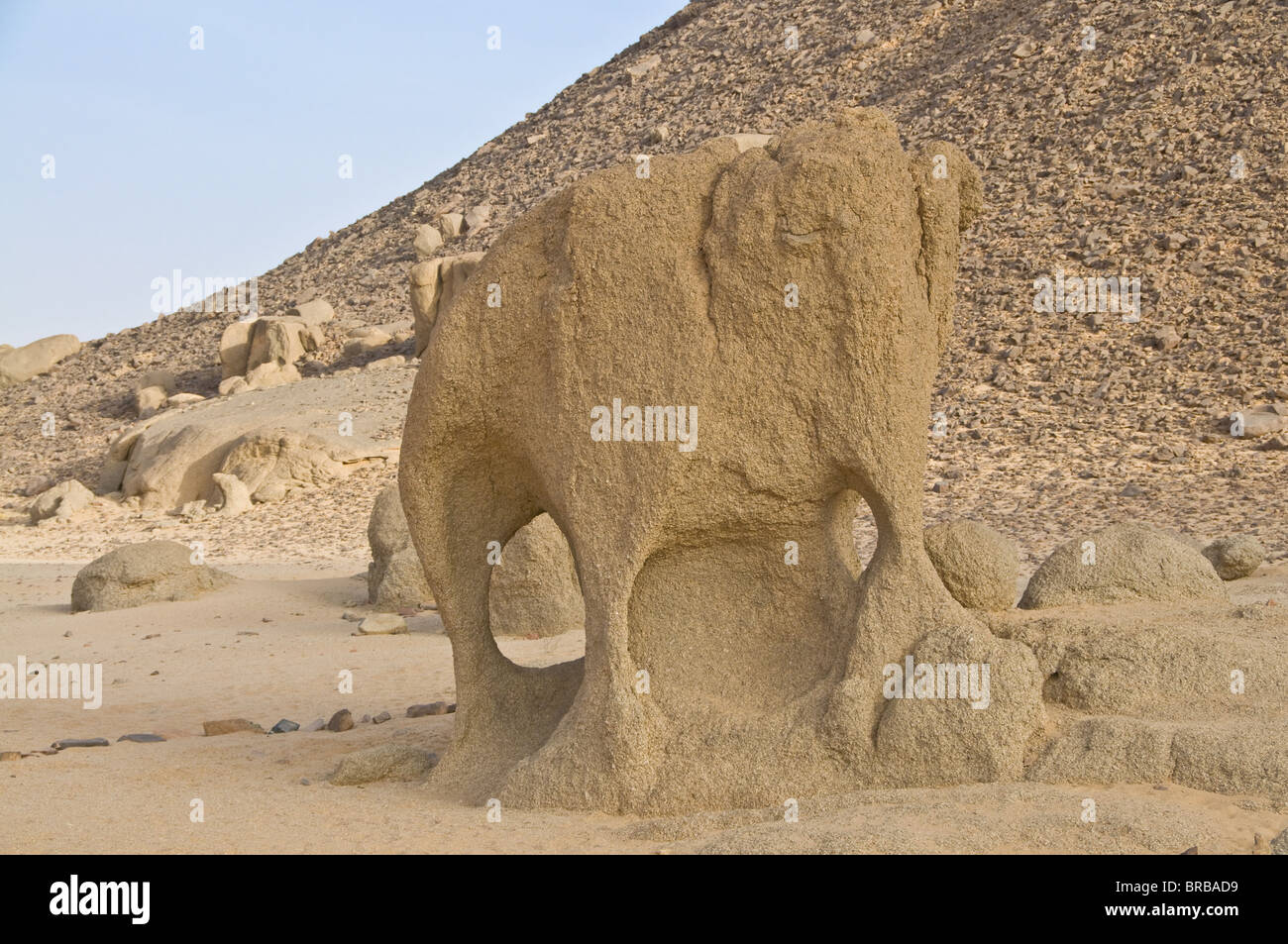 Sand sculpture looking like an elephant, Sahara, Algeria, North Africa ...