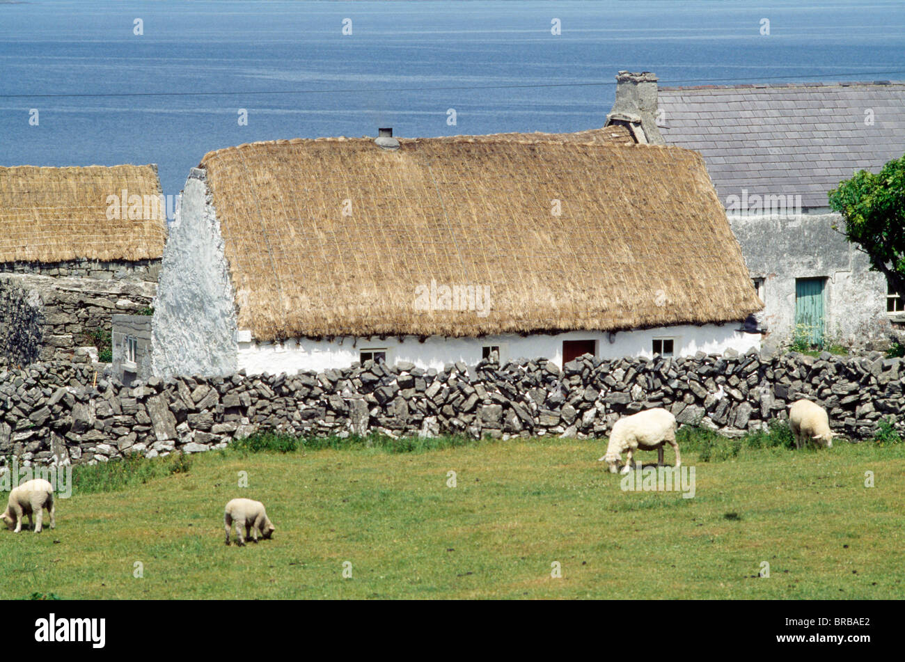 Traditional Thatched Cottages, Aran Islands, Inishmore Stock Photo - Alamy