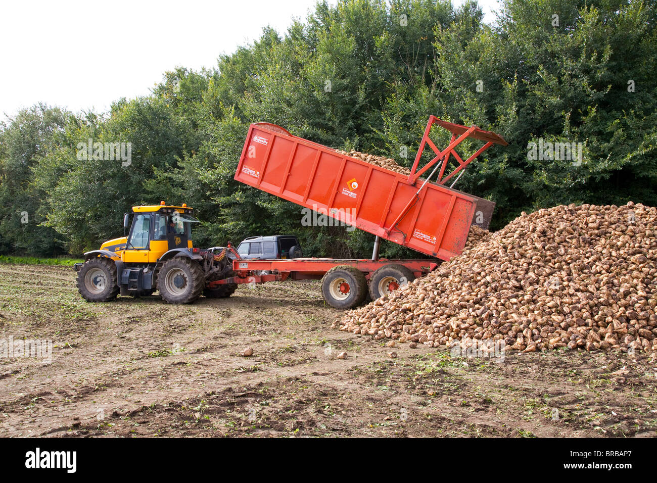 Beet harvesting machine hi-res stock photography and images - Alamy