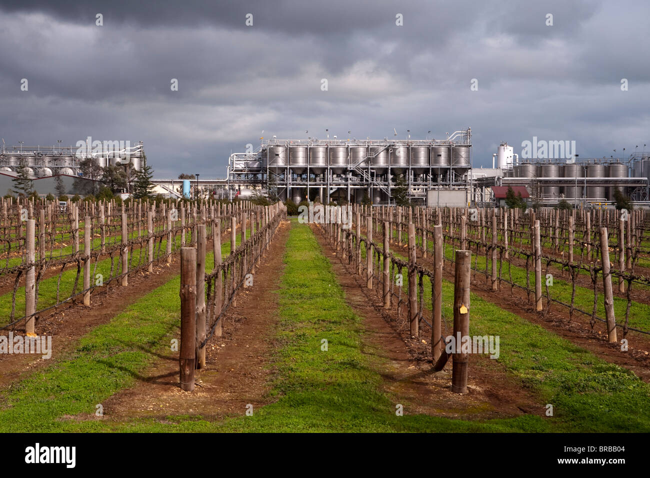 Coonawara hi-res stock photography and images - Alamy