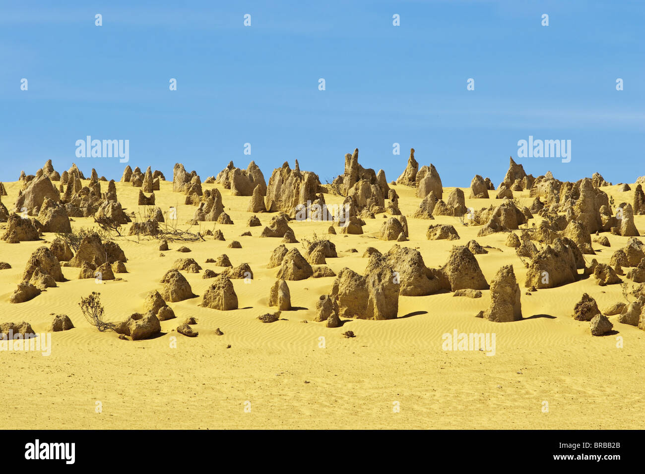 Rock pillars, The Pinnacles Desert, Nambung National Park, Dandaragan ...