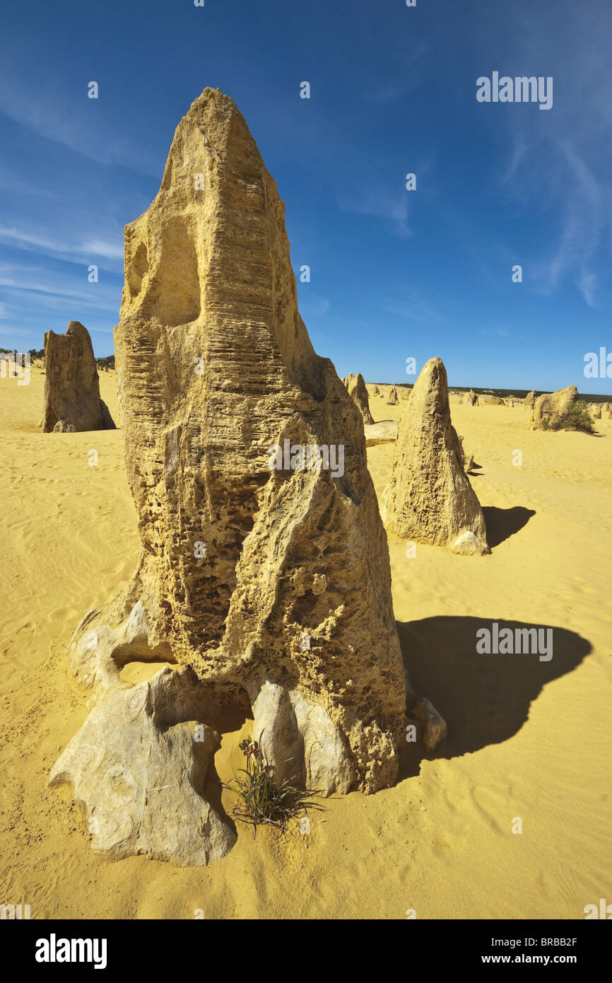 Rock pillars, The Pinnacles Desert, Nambung National Park, Dandaragan ...