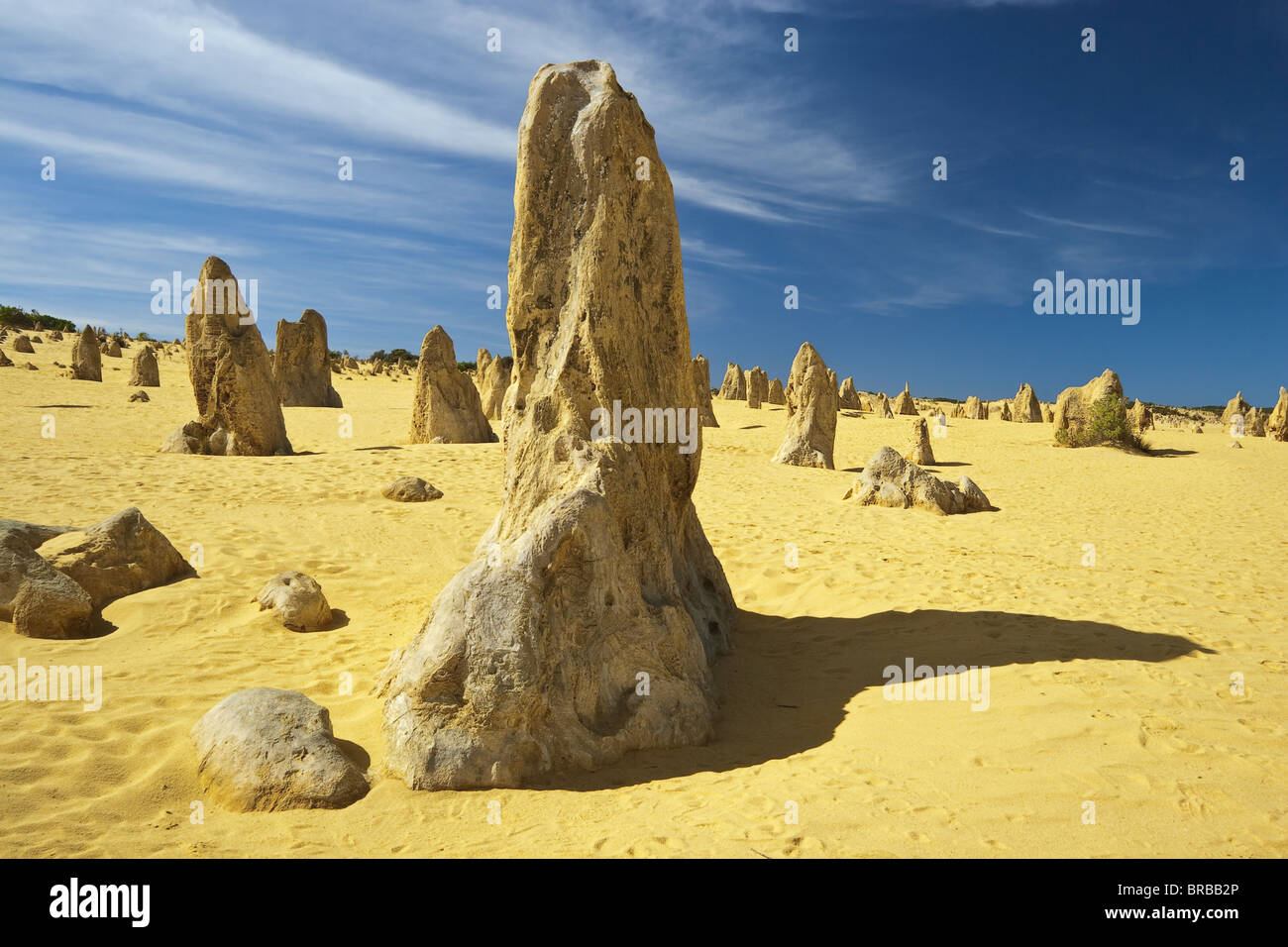 Rock pillars, The Pinnacles Desert, Nambung National Park, Dandaragan ...