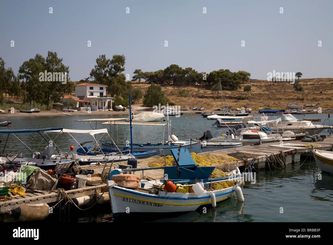 Perdika aegina hi-res stock photography and images - Alamy