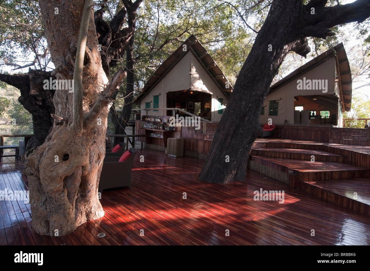 Abu Camp, Okavango Delta, Botswana Stock Photo - Alamy