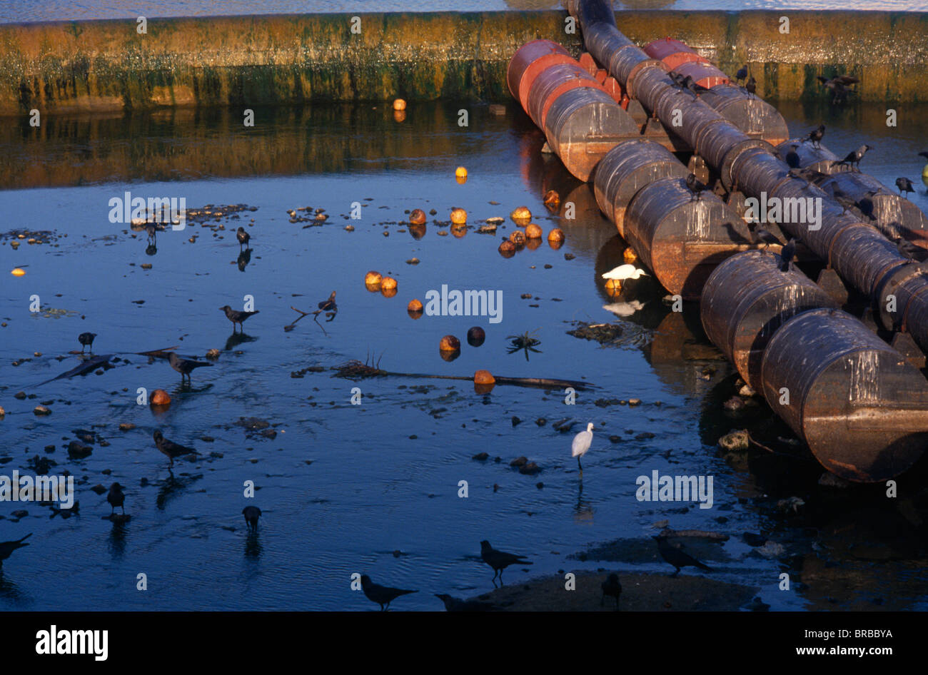 SRI LANKA Colombo Stock Photo - Alamy