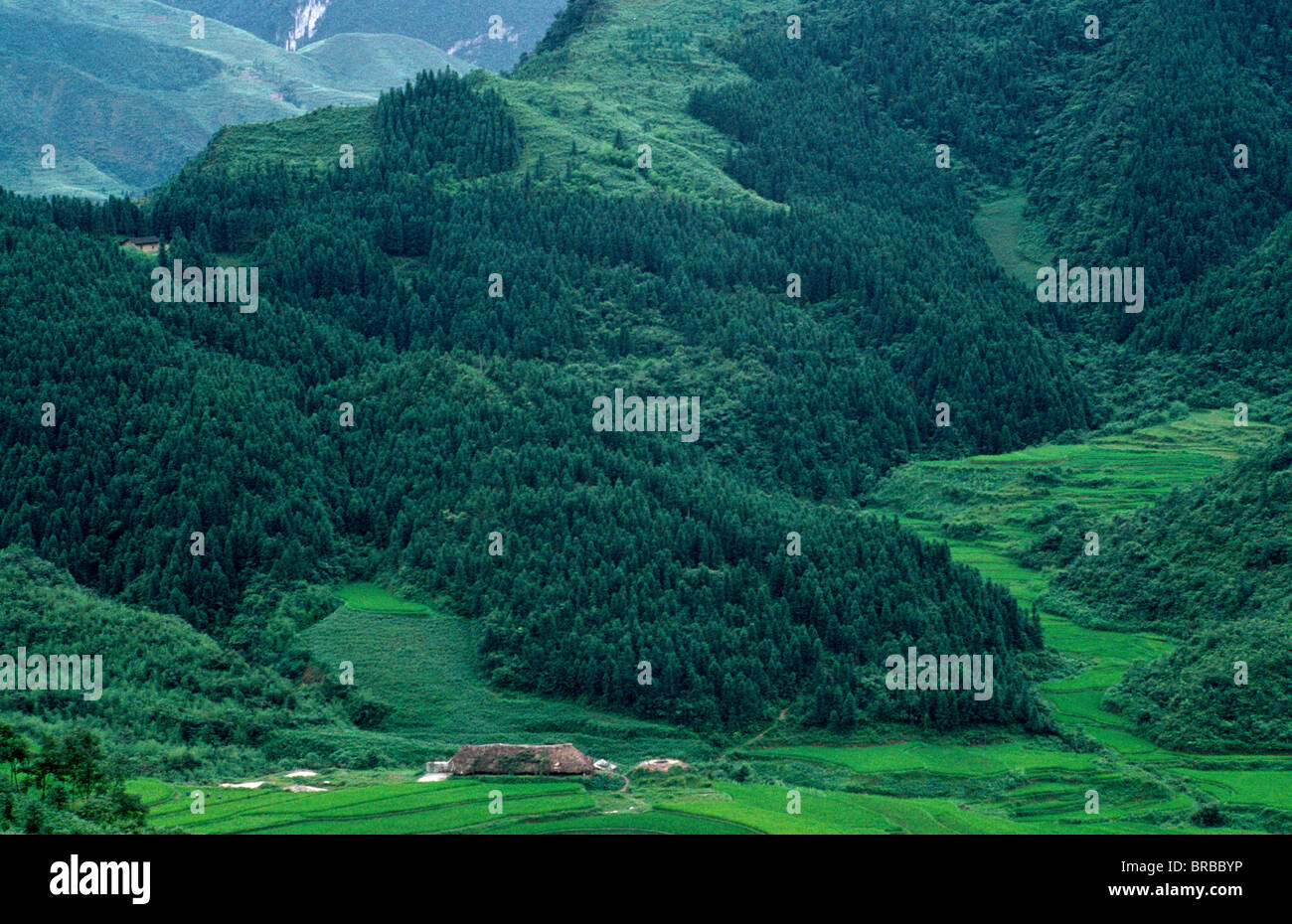 Reforestation china hi-res stock photography and images - Alamy