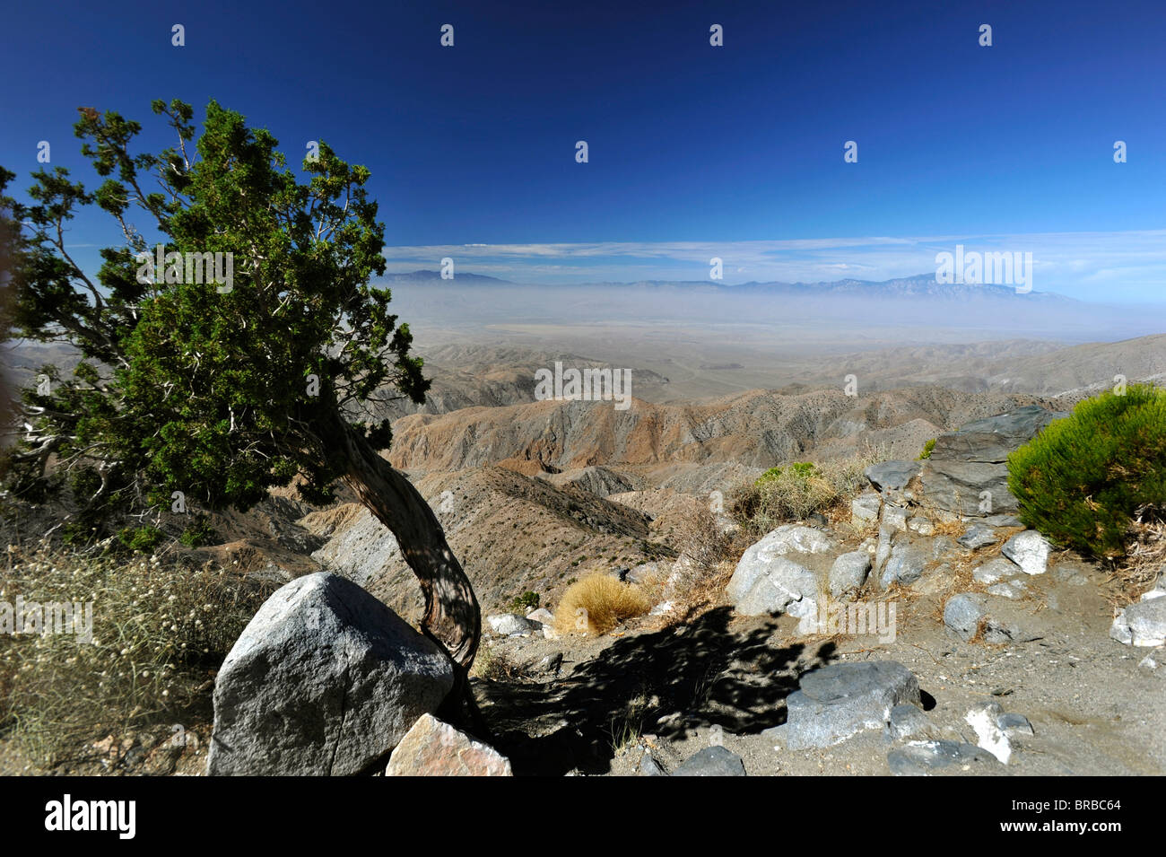 Photo pollution hi-res stock photography and images - Alamy