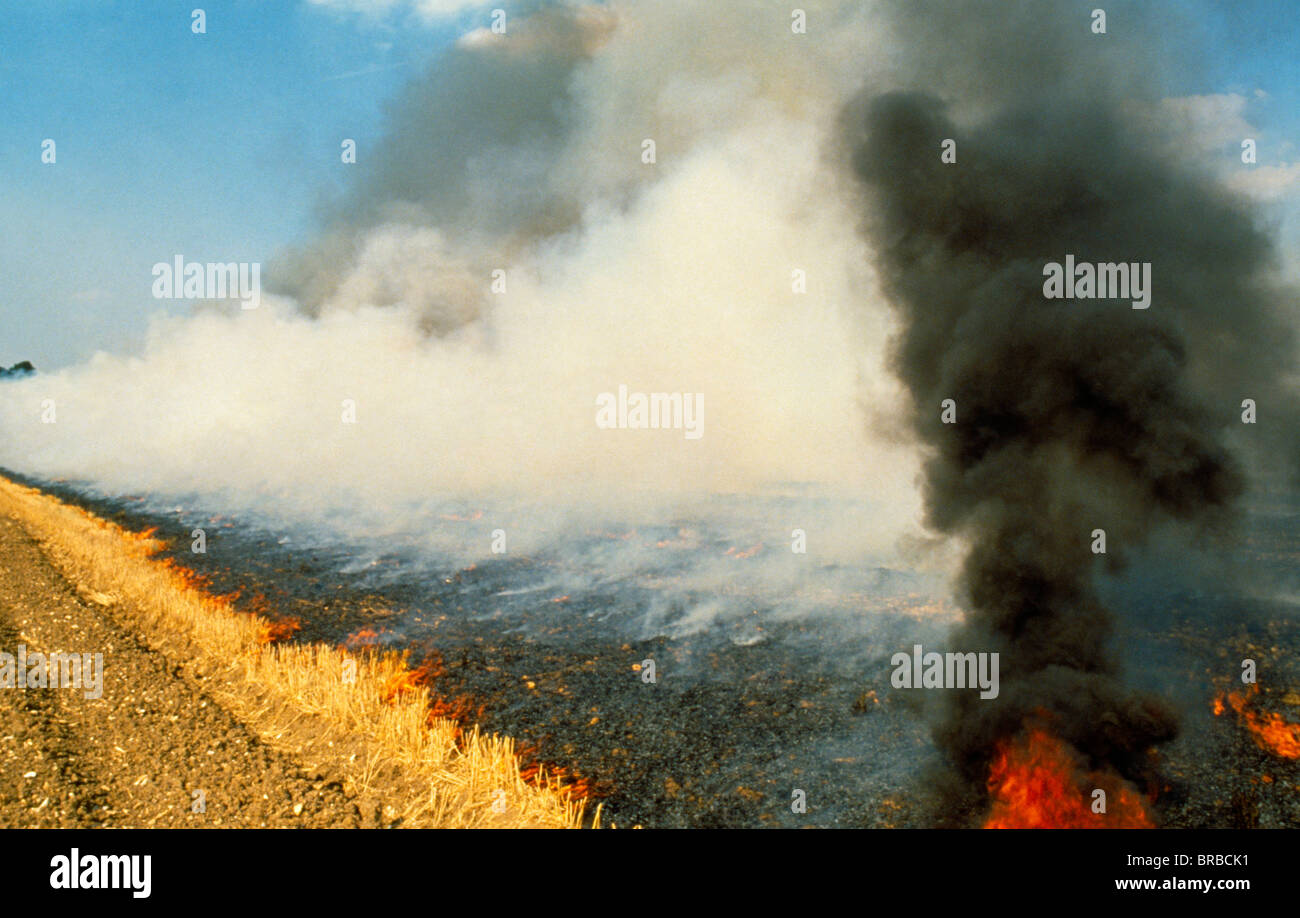 ENGLAND Hampshire Environment Stock Photo - Alamy