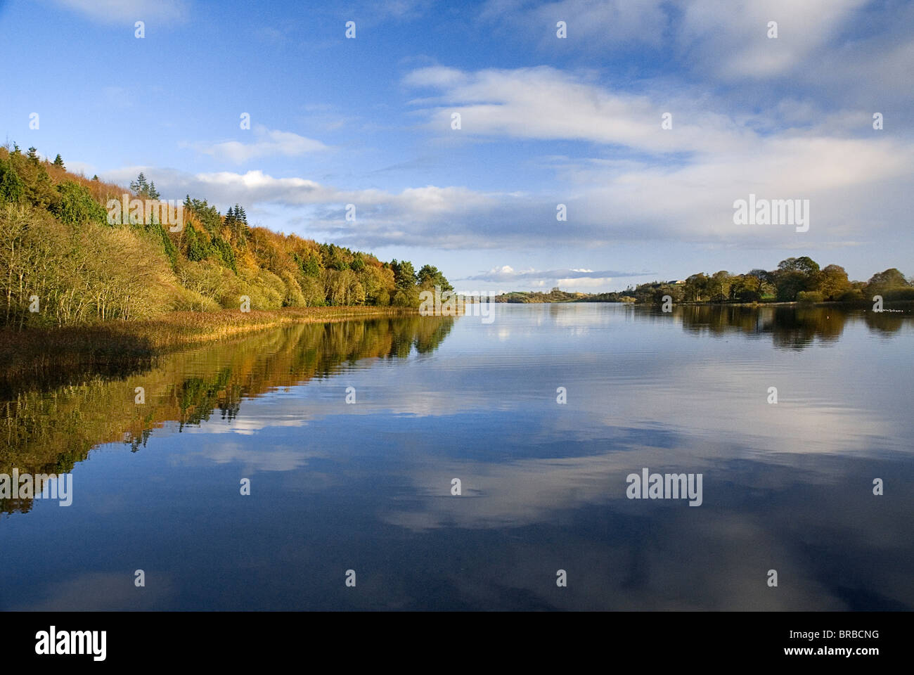 IRELAND County Monaghan Castleblayney Stock Photo - Alamy
