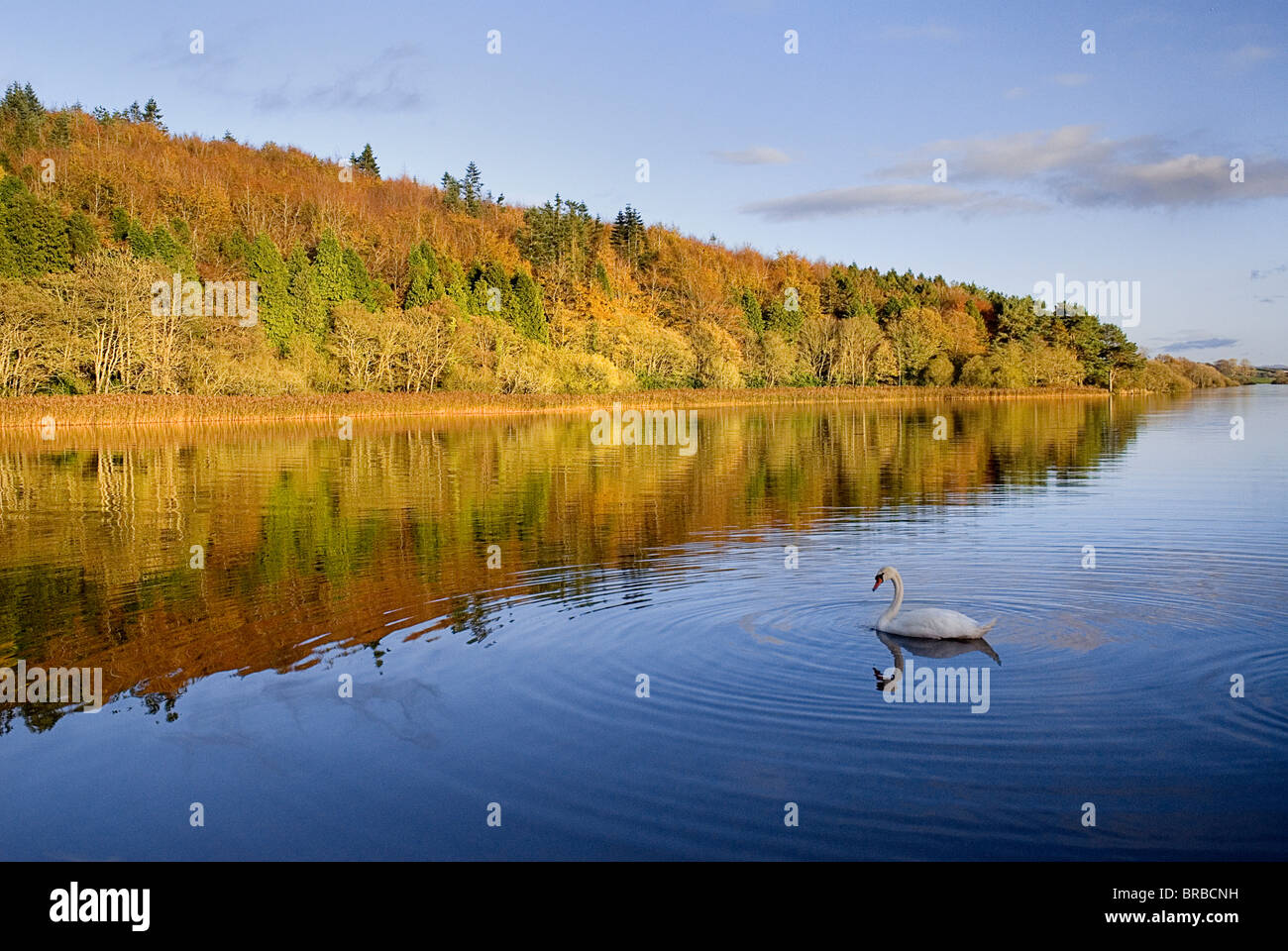 IRELAND County Monaghan Castleblayney Stock Photo - Alamy