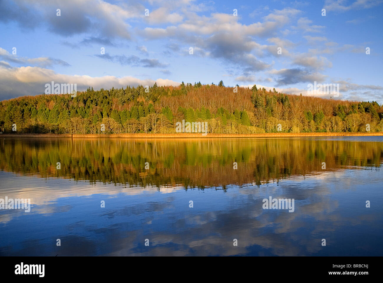 County monaghan ireland hi-res stock photography and images - Alamy