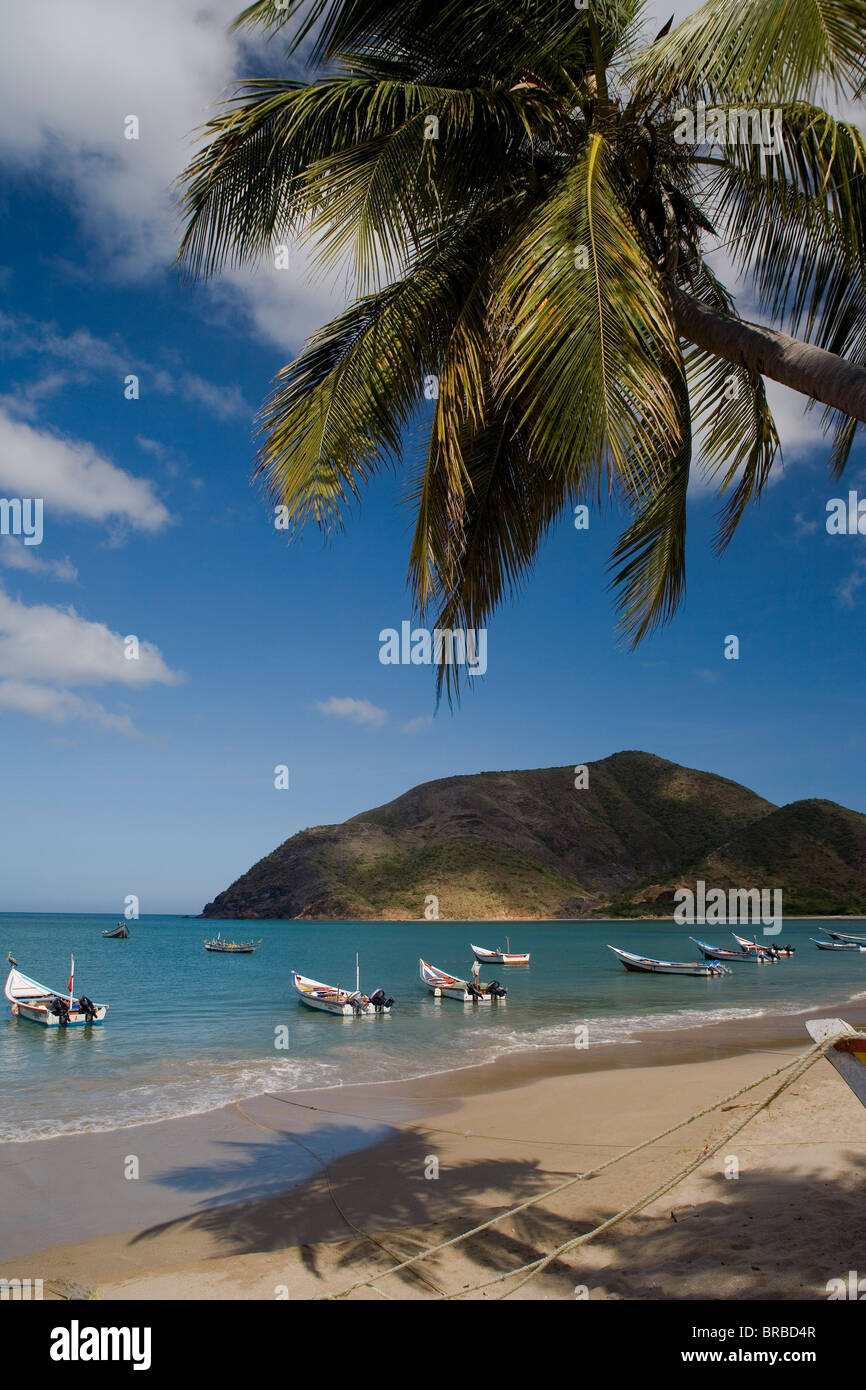 VENEZUELA Margarita Island Playa la Galera Stock Photo - Alamy