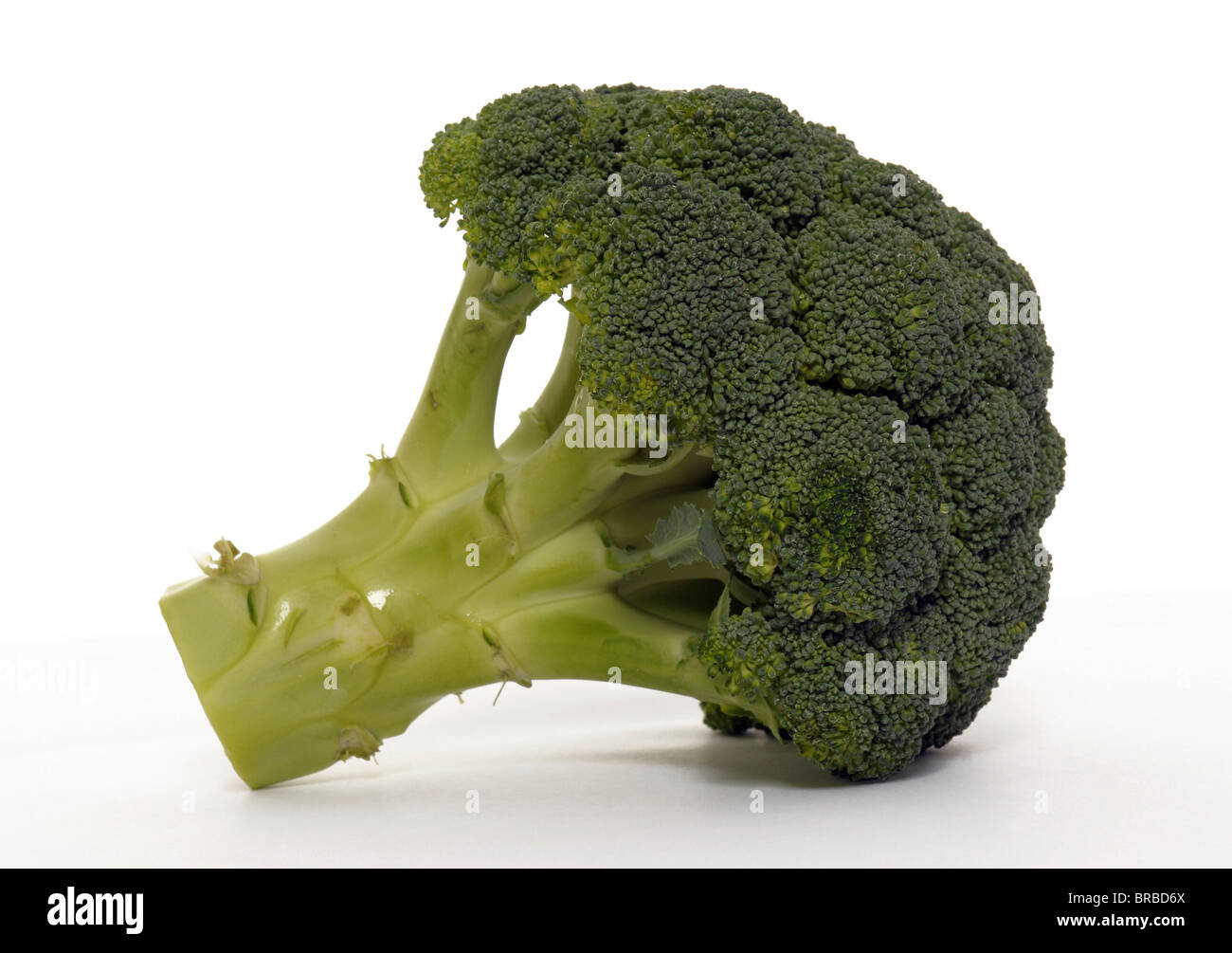 FOOD Vegetables Broccoli Floret Stock Photo - Alamy