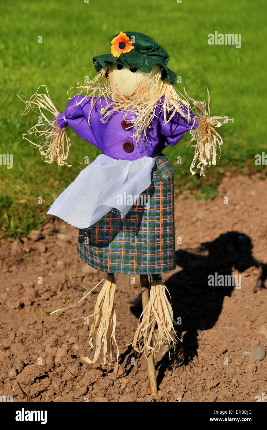an ornate garden scare crow padded with straw and dressed as a woman ...