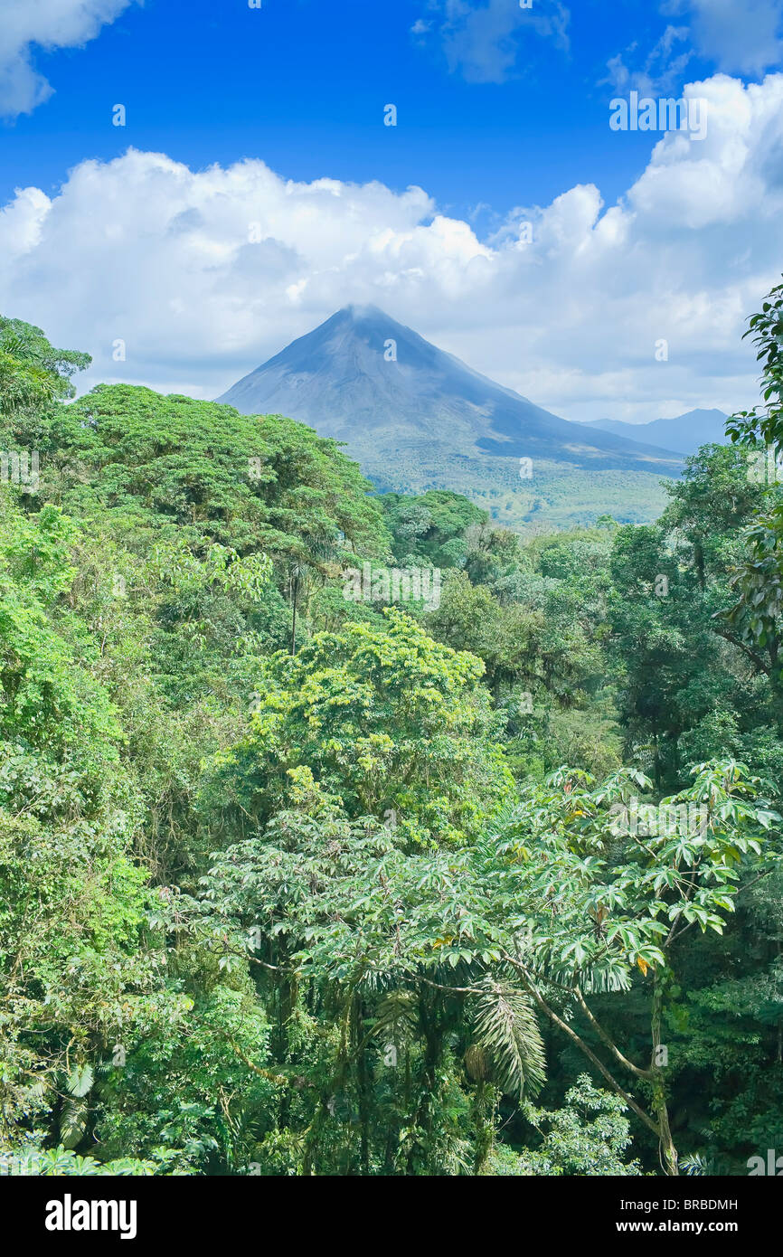Costa Rica Forest Stock Photos & Costa Rica Forest Stock Images - Alamy
