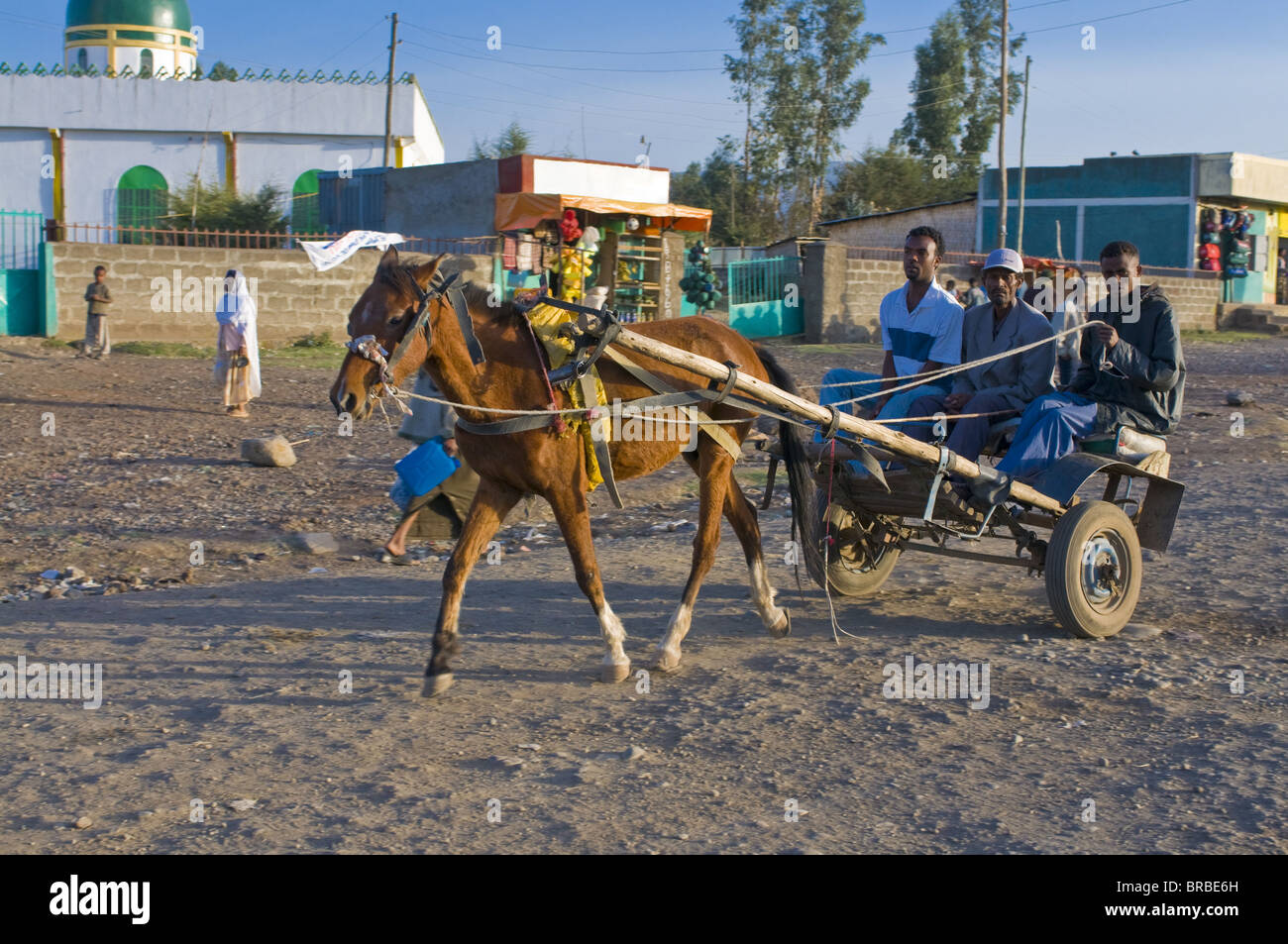 Horse cart bringing people home, Robe, Bale Mountains, Ethiopia Stock ...