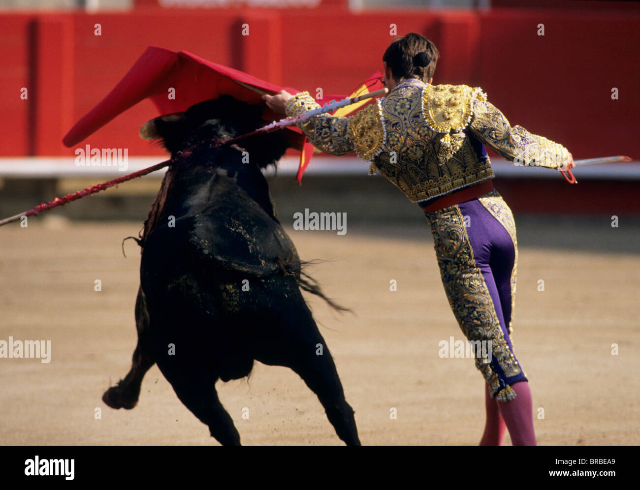 Bullfighter in action Stock Photo - Alamy