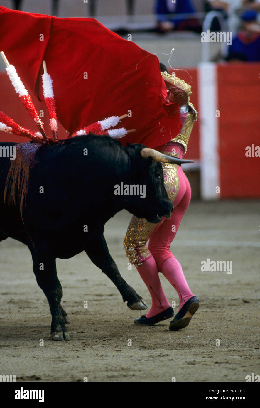 Matador Bull Charging Stock Photos & Matador Bull Charging Stock Images ...