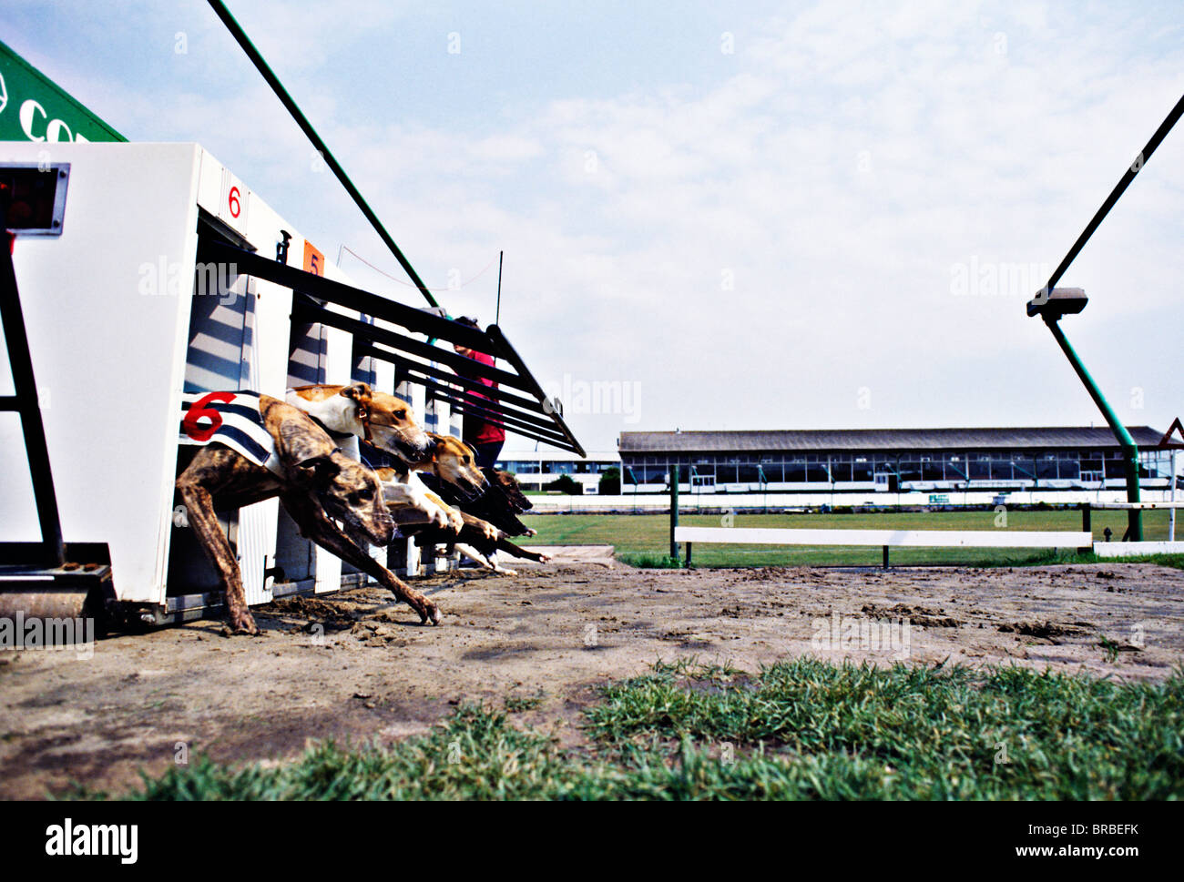 Racing starting gates hi-res stock photography and images - Alamy
