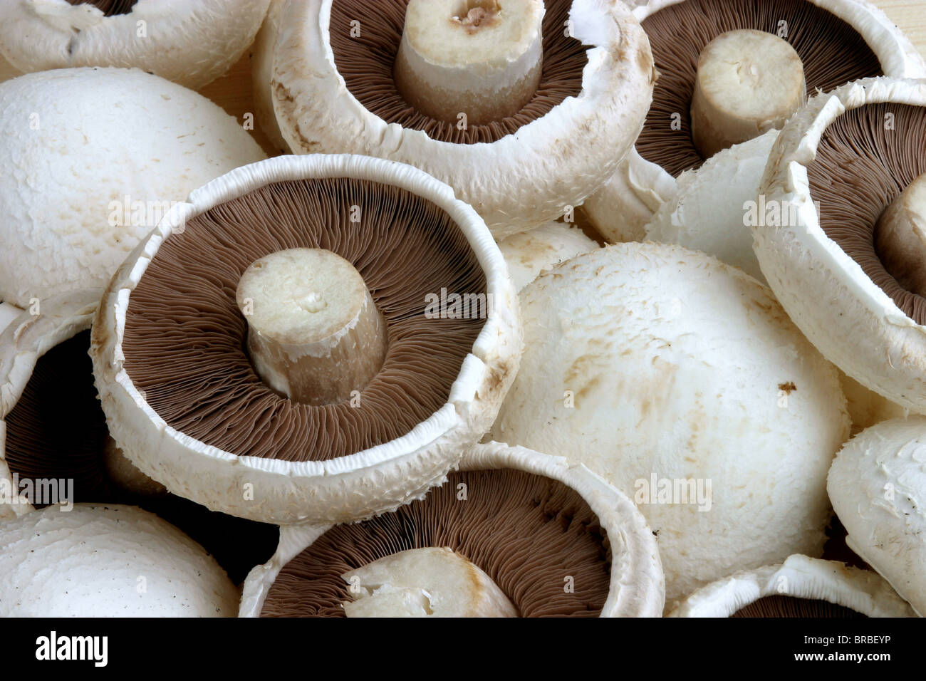 Flat mushrooms hi-res stock photography and images - Alamy