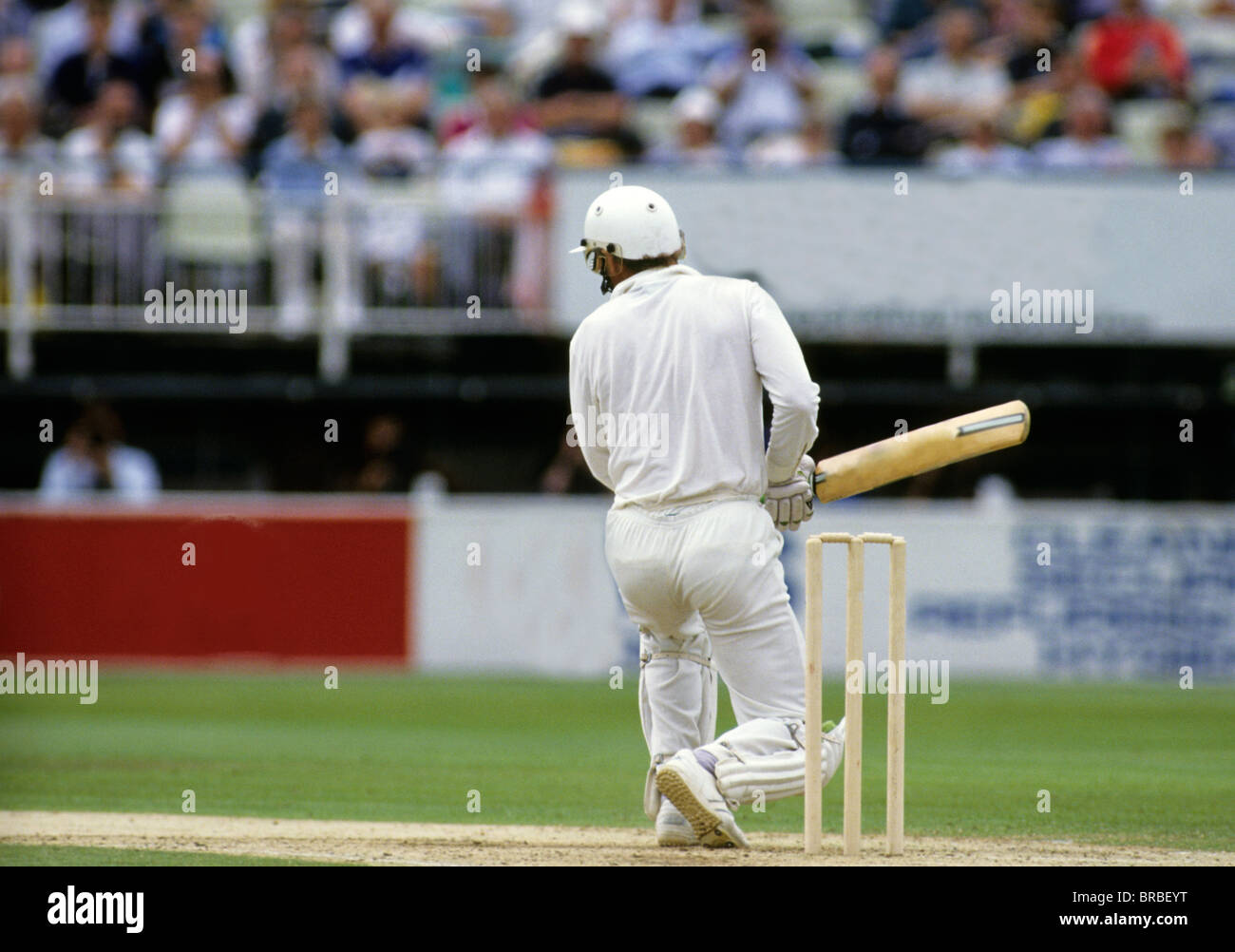Cricketer spectators hi-res stock photography and images - Alamy