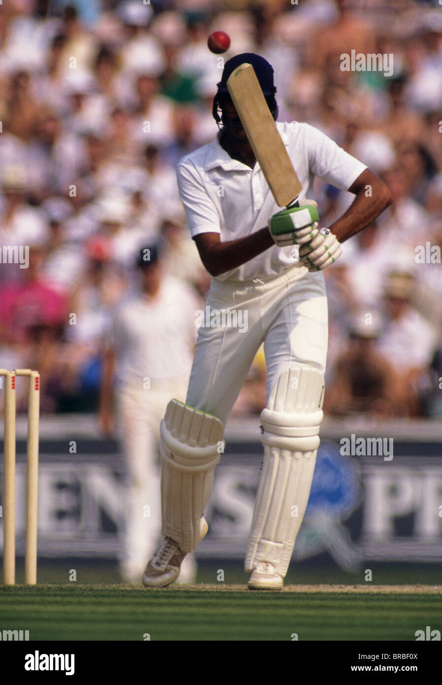 Cricketer spectators hi-res stock photography and images - Alamy